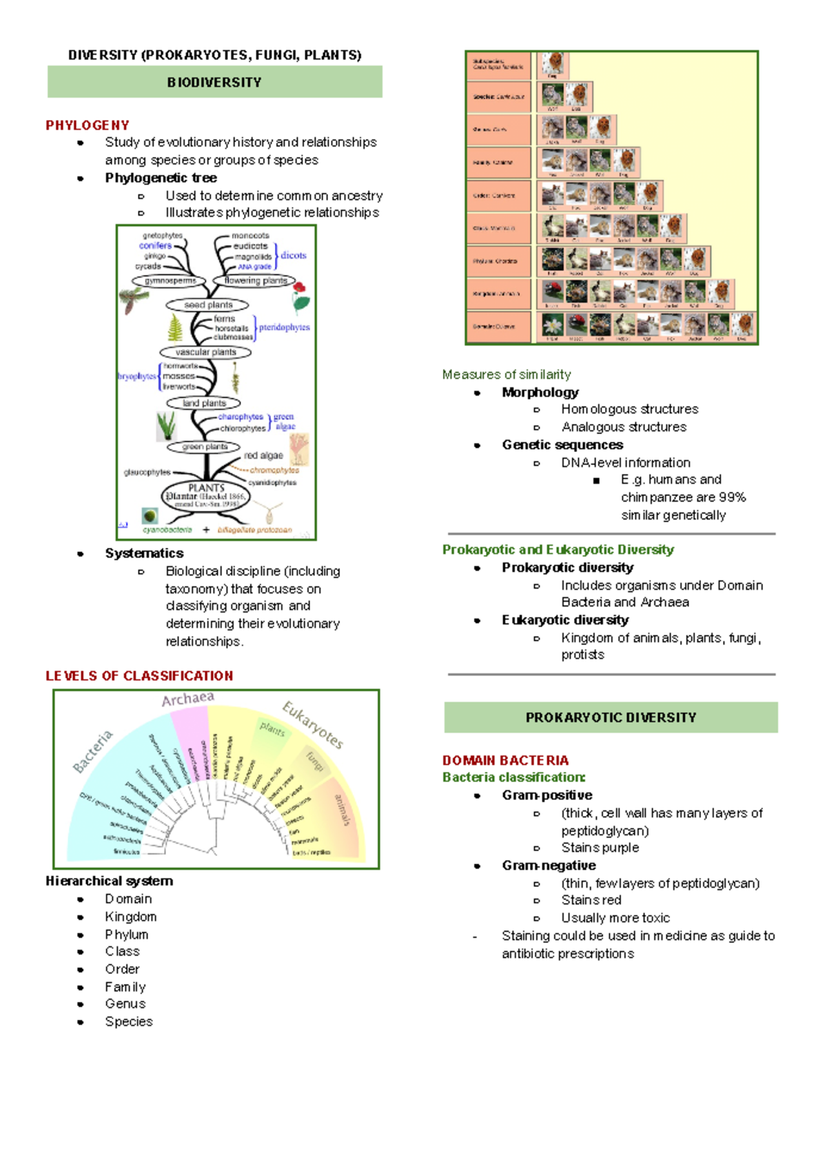 Prokaryotic Diversity - DIVERSITY (PROKARYOTES, FUNGI, PLANTS ...