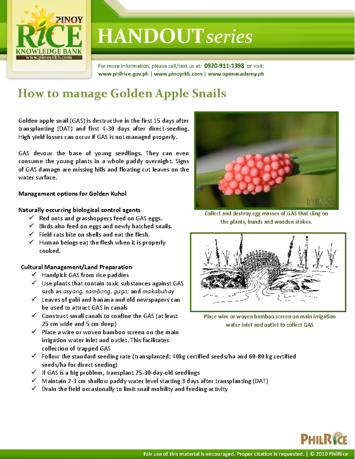 The Management of Golden Apple Snails (GAS) Handouts for our Rice ...
