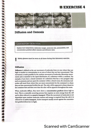Photosynthesis and respiration lab manual - BSC 1005L - Studocu