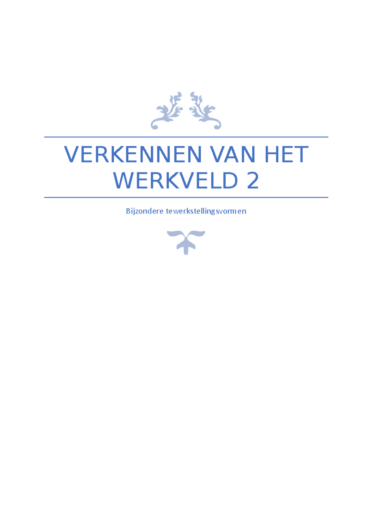 Samenvatting bijzondere tewerkstelling - VERKENNEN VAN HET WERKVELD 2 ...