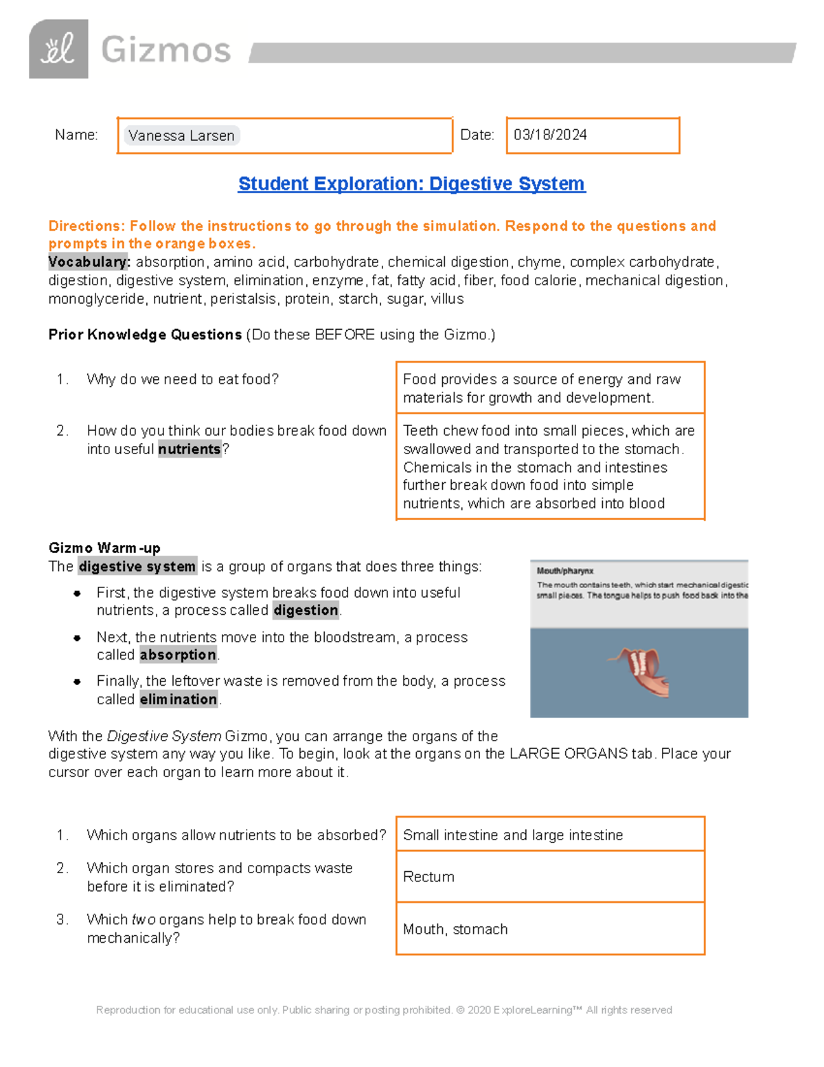Copy of Digestive System Gizmo Student Exploration Sheet - Name ...