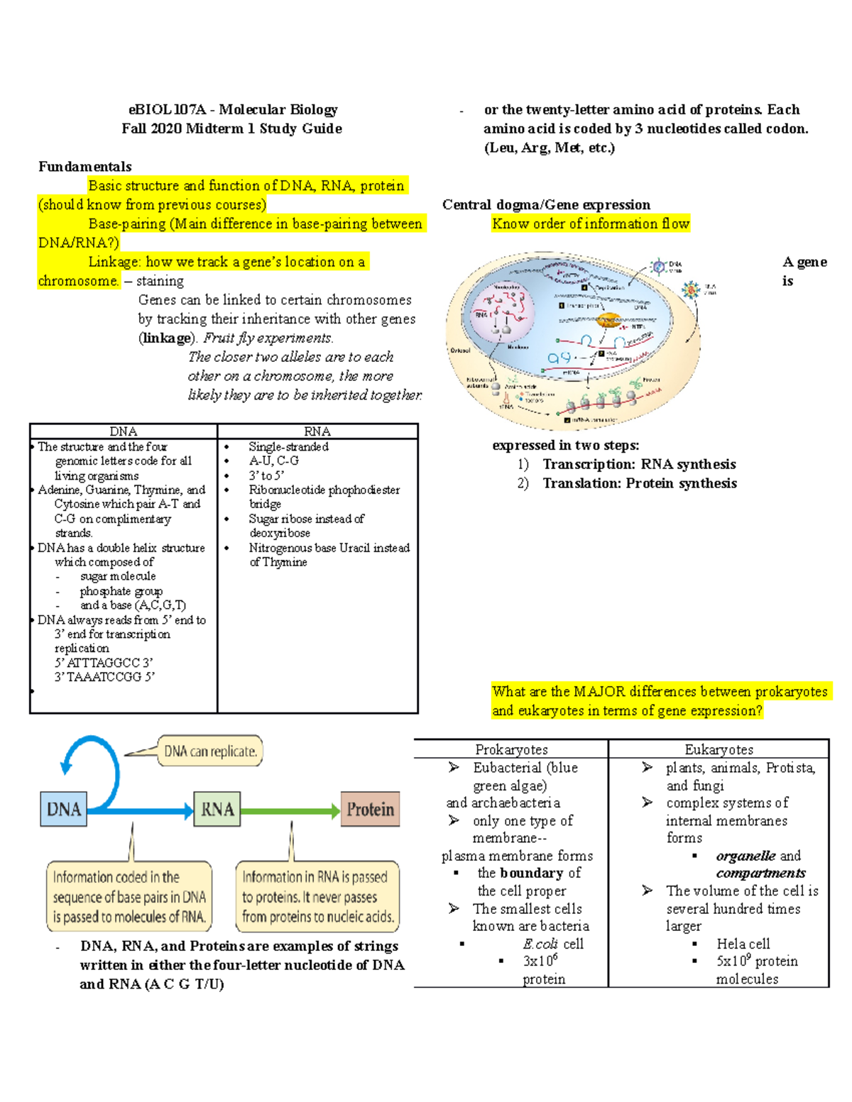 Midterm 1 Study Guide - BIOL107A Molecular Biology - eBIOL107A ...