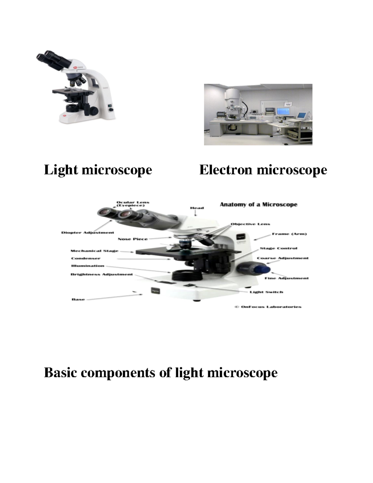 4 6006028059944158904 - Light microscope Electron microscope Basic ...