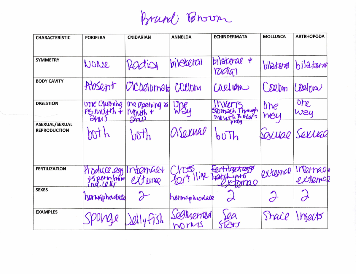 chapter 10: invertebrate chart - WrL,rdr Wrrn' CHARACTERISTIC PORIFERA ...