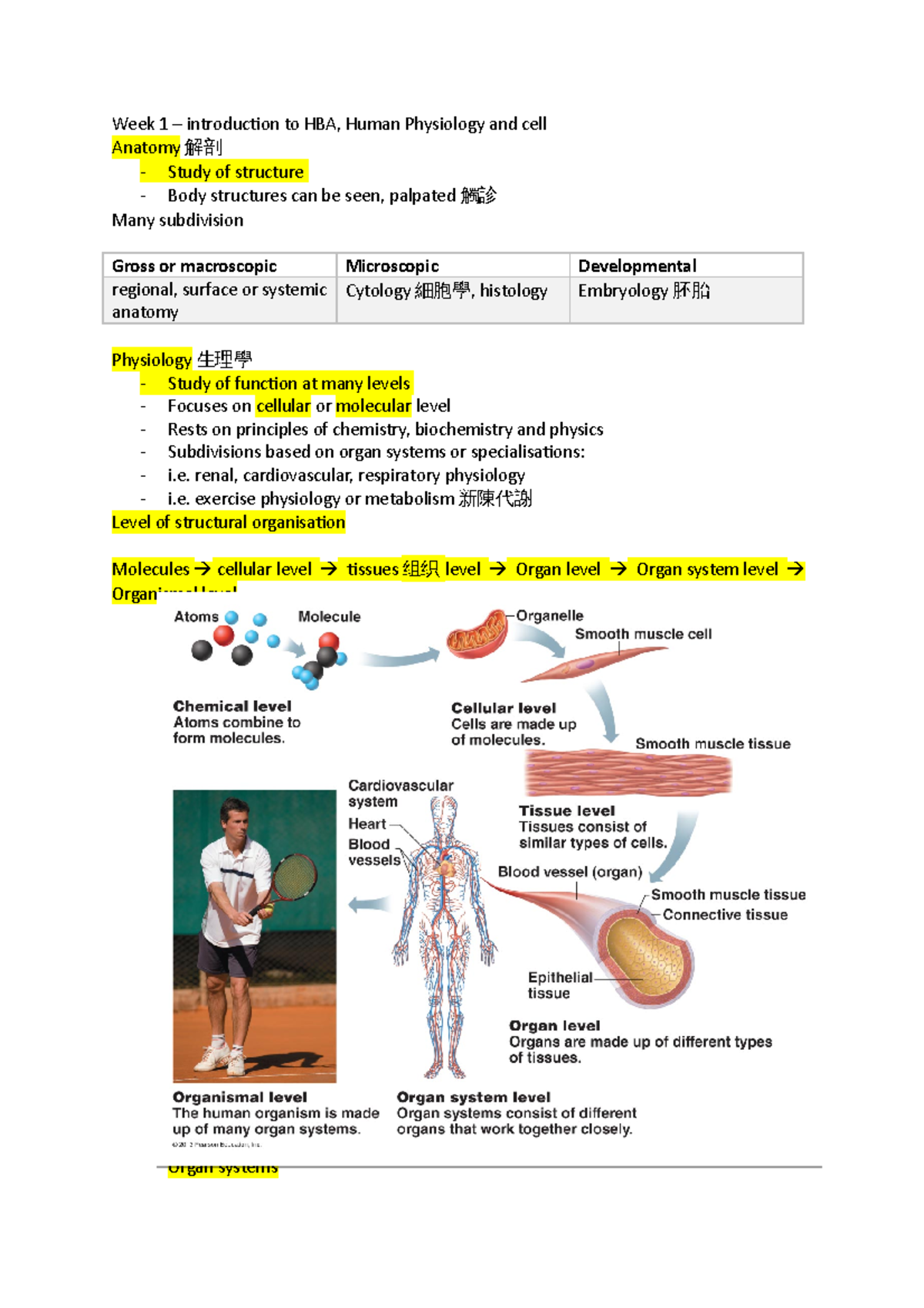 Week 1 - Week 1 introduction to HBA, Human Physiology and cell Anatomy ...