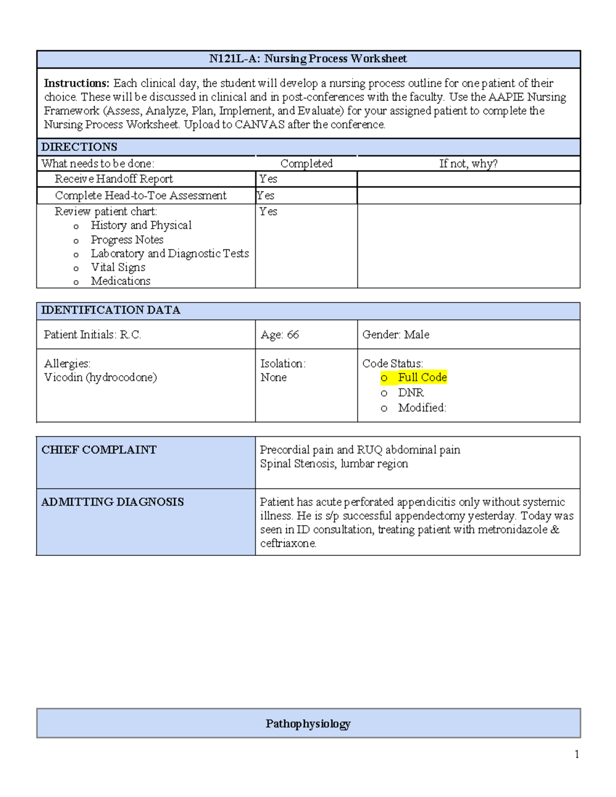 Nursing Process Worksheet - N121L-A: Nursing Process Worksheet ...
