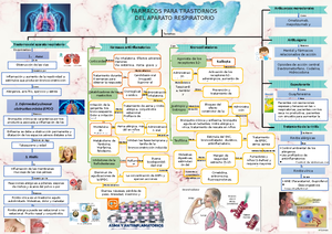 6-articulacion cara verterbras- anatomia- cuadro sinoptico - ARTICULACIONES DE LA CABEZA, CUELLO ...