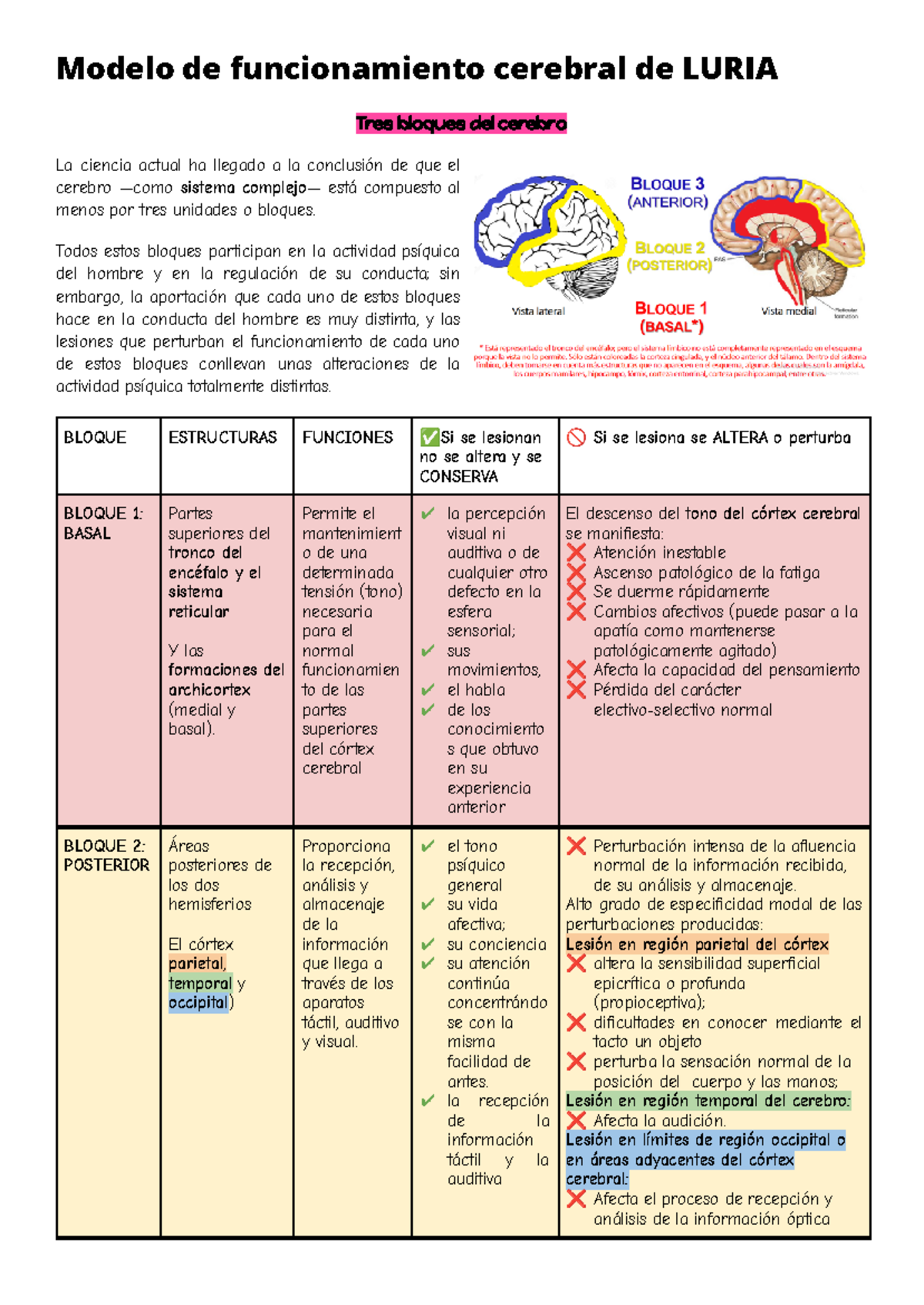 Modelo de funcionamiento cerebral de Luria - Modelo de funcionamiento ...