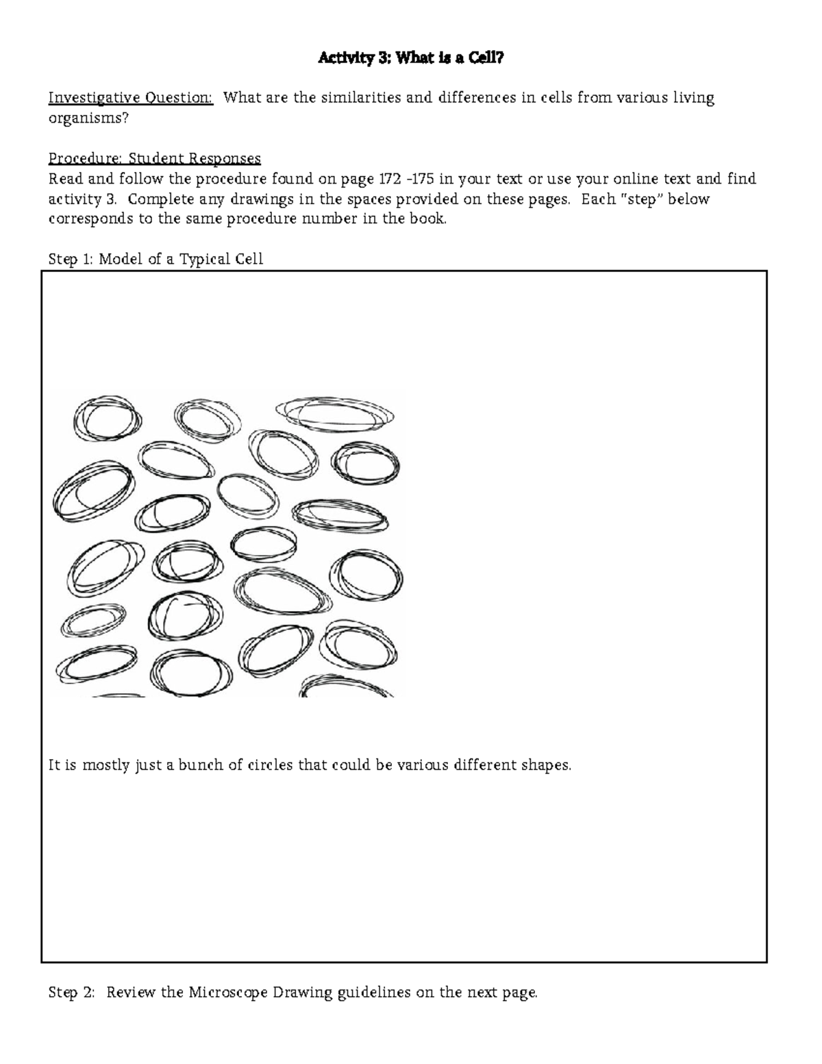 Copy of Activity 3 What is a Cell Student Guide - Google Docs ...