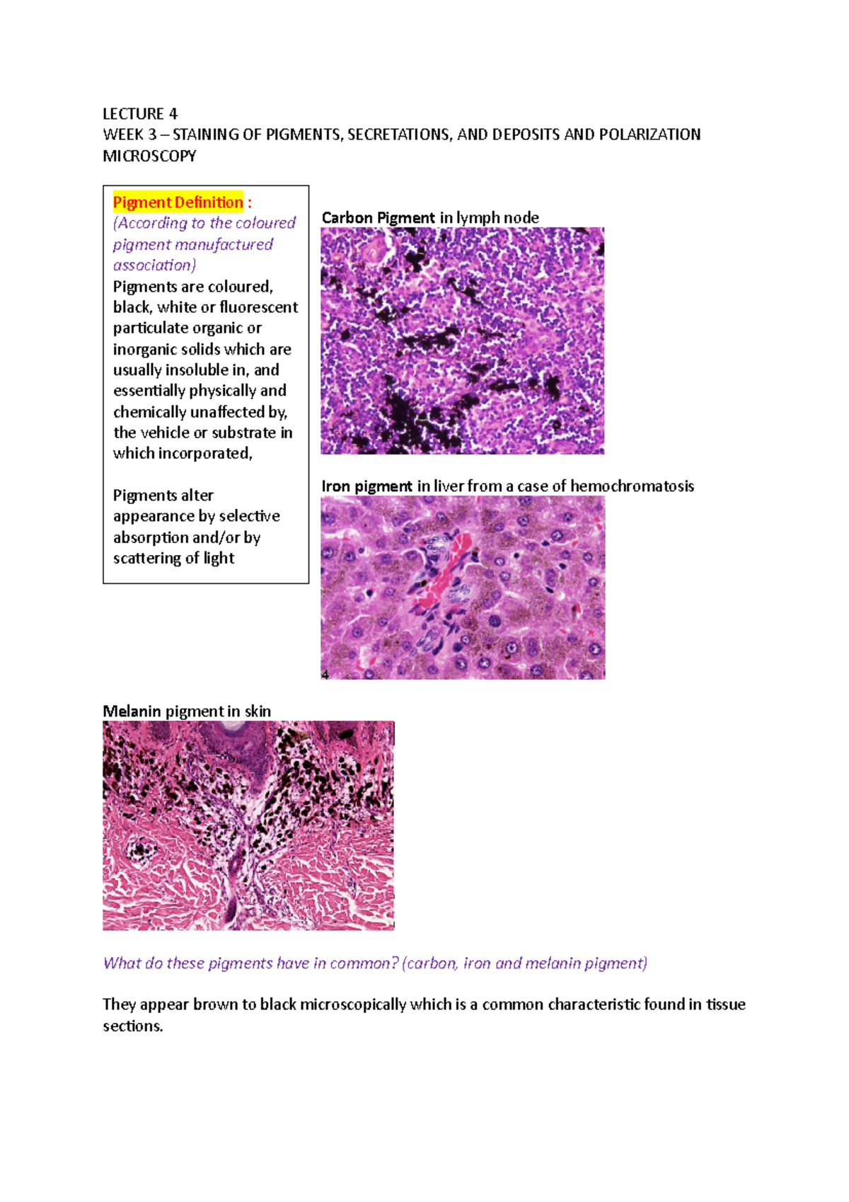 Anatomical Pathology - Week 3 Lecture: staining and pigments - LECTURE ...