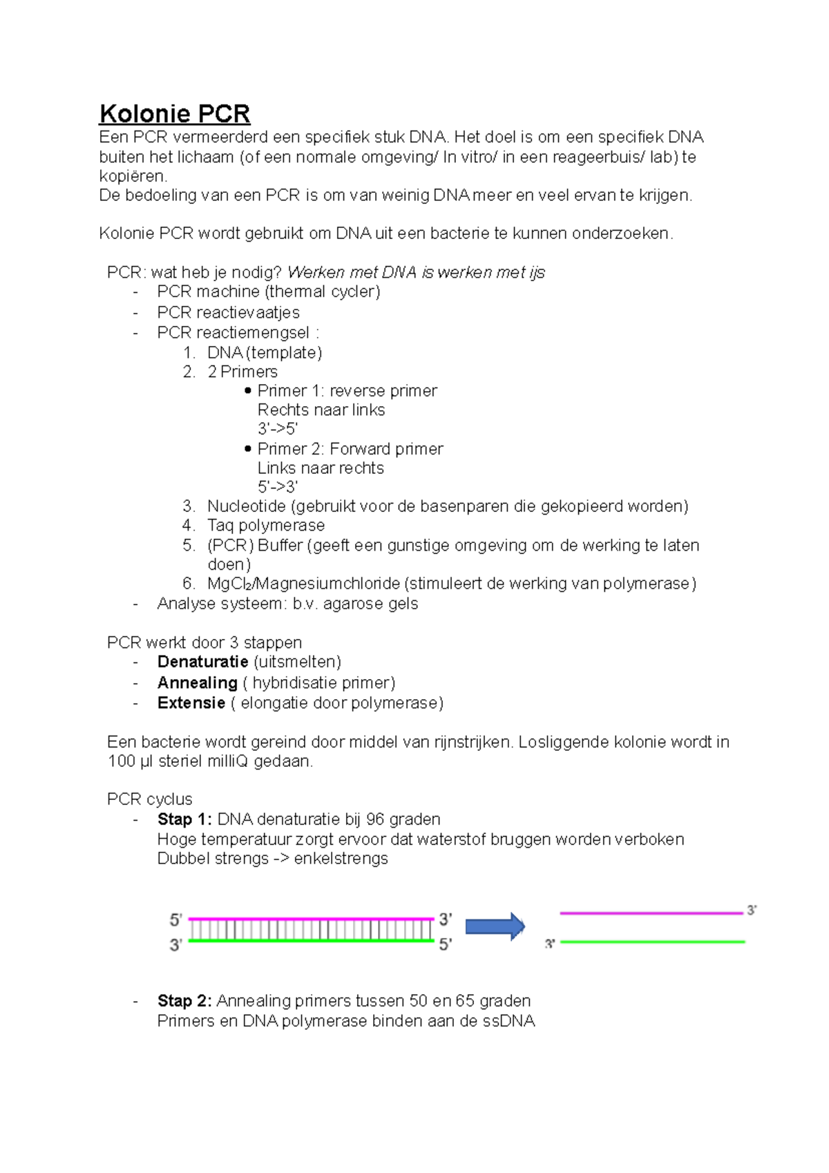 Kolonie PCR - Kolonie PCR Een PCR vermeerderd een specifiek stuk DNA ...