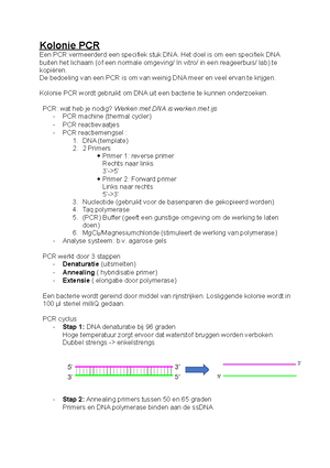 Gelektroforese - Gelektroforese Gelektroforese is een methode om DNA ...