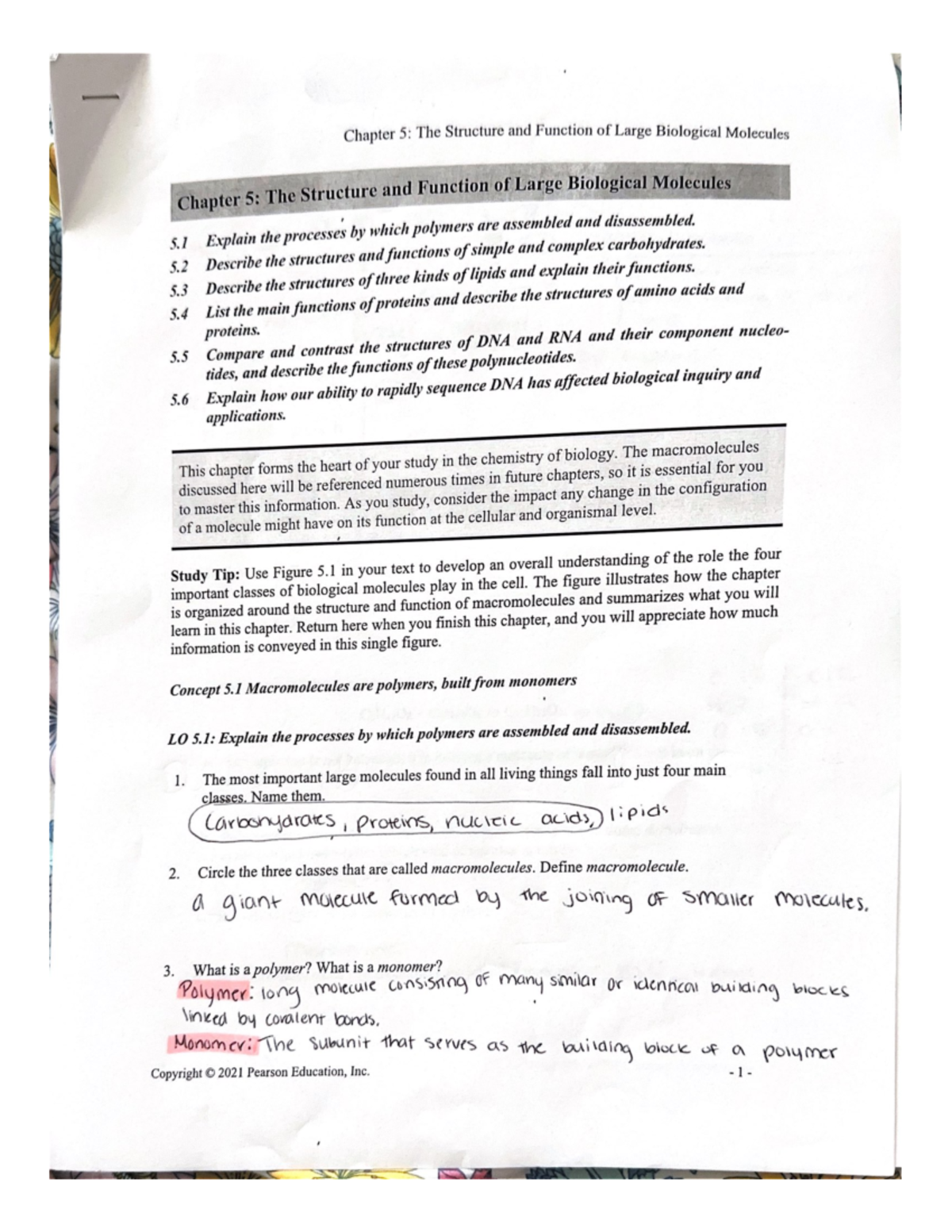 Chap 5 study material - textbook questions for chapter 5 of biology 1 ...