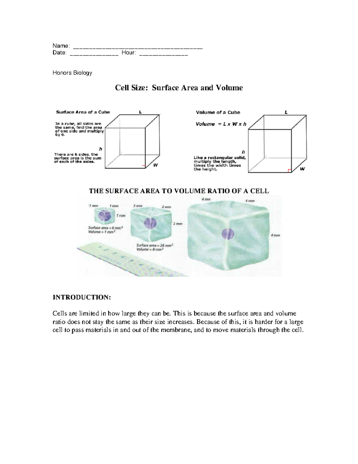 Updated Honors Biology Chapter 8 (4.2) Cell Surface Area Volume Ratio ...