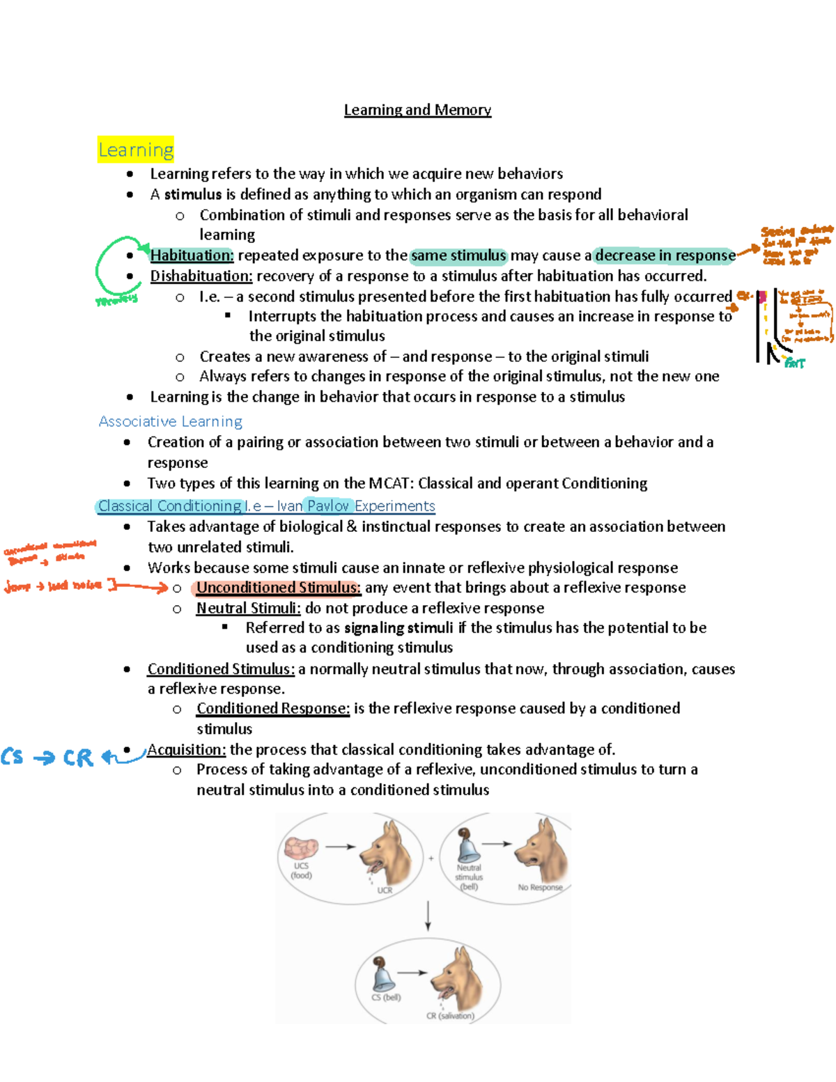 Copy of 3-Learning and Memory - Learning and Memory Learning x Learning refers to the way in ...