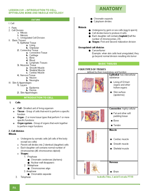 Integumentary system test-general - Anatomy & Physiology: Integumentary ...