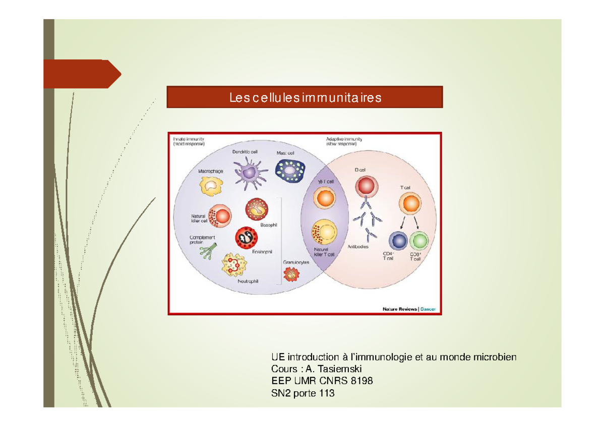 Cellules immunitaires - Les cellules immunitaires UE introduction à l ...