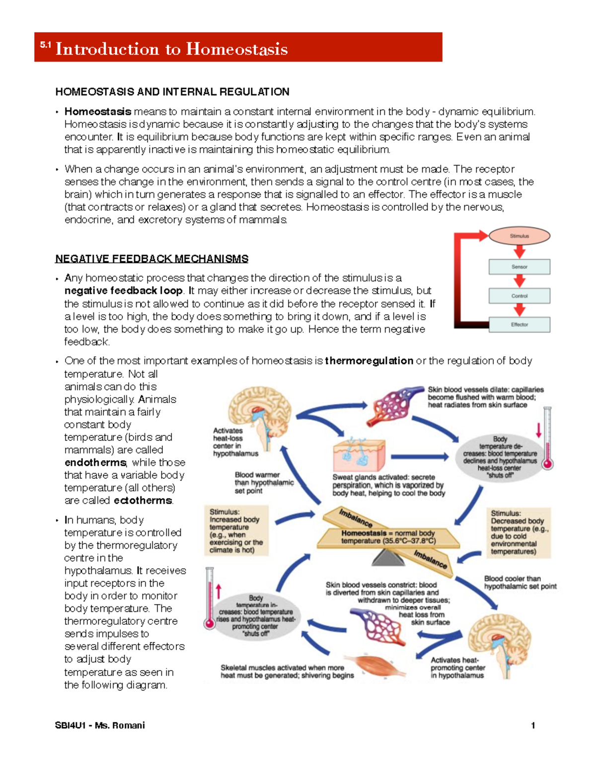 Lesson Notes - Introduction to Homeostasis - Introduction to ...