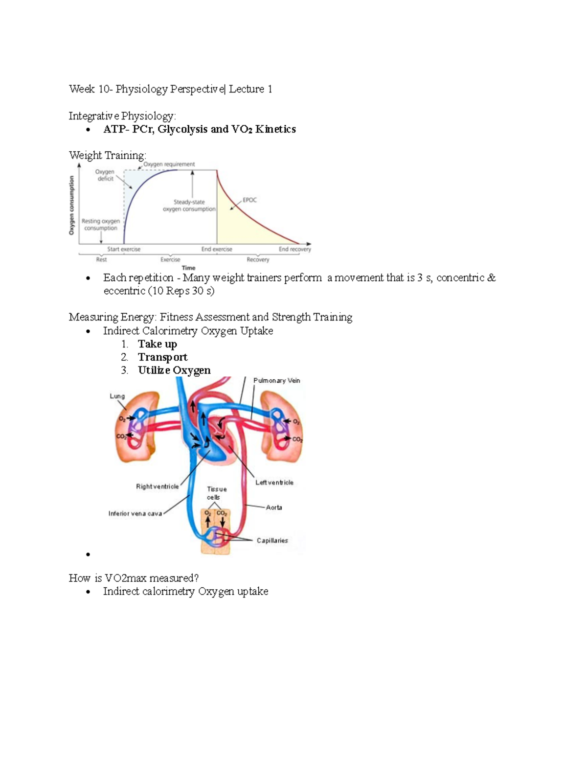 Temp Week 10 - Temp Week 10 - Week 10- Physiology Perspective| Lecture ...