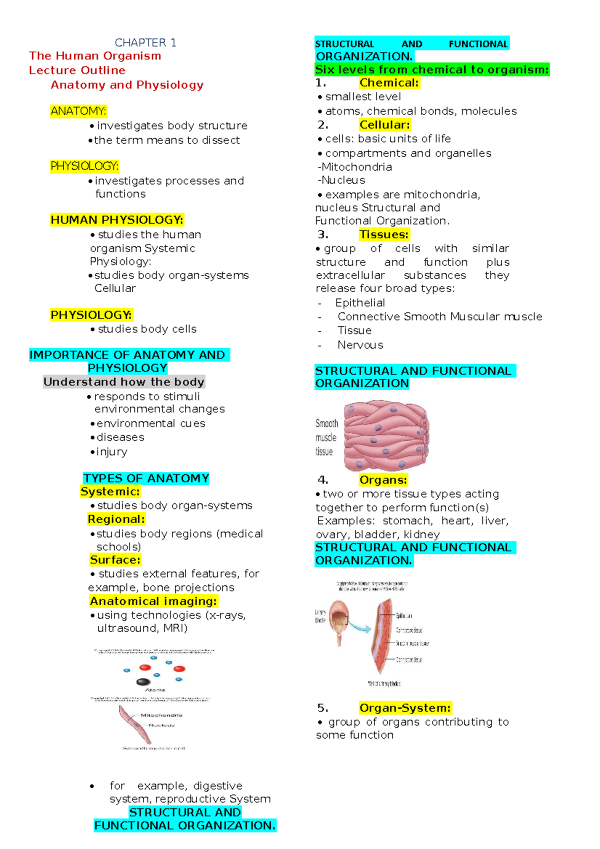 MY- Reviewer- Anaphy - CHAPTER 1 The Human Organism Lecture Outline ...