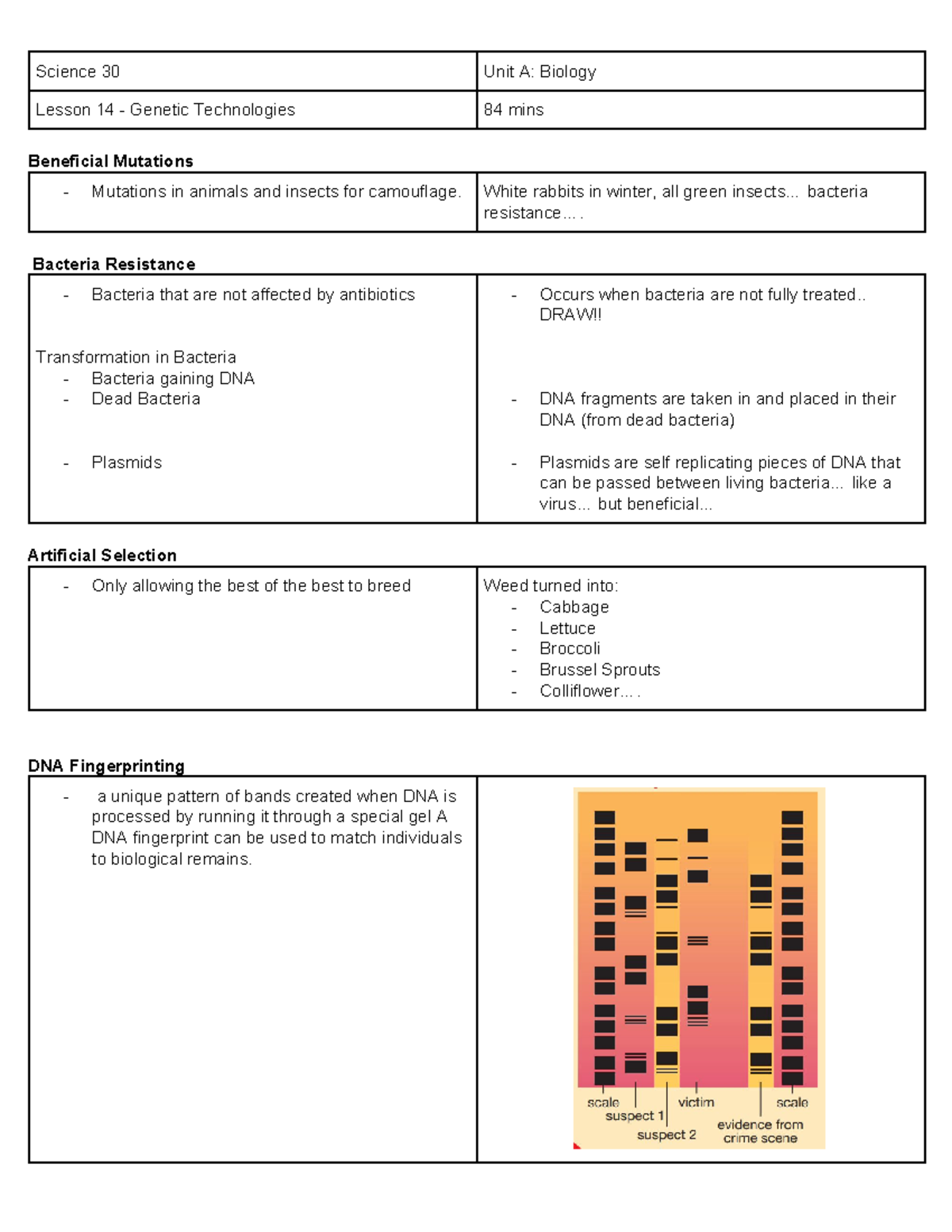 Genetic Technologies - Review + Practice problems - Science 30 Unit A ...
