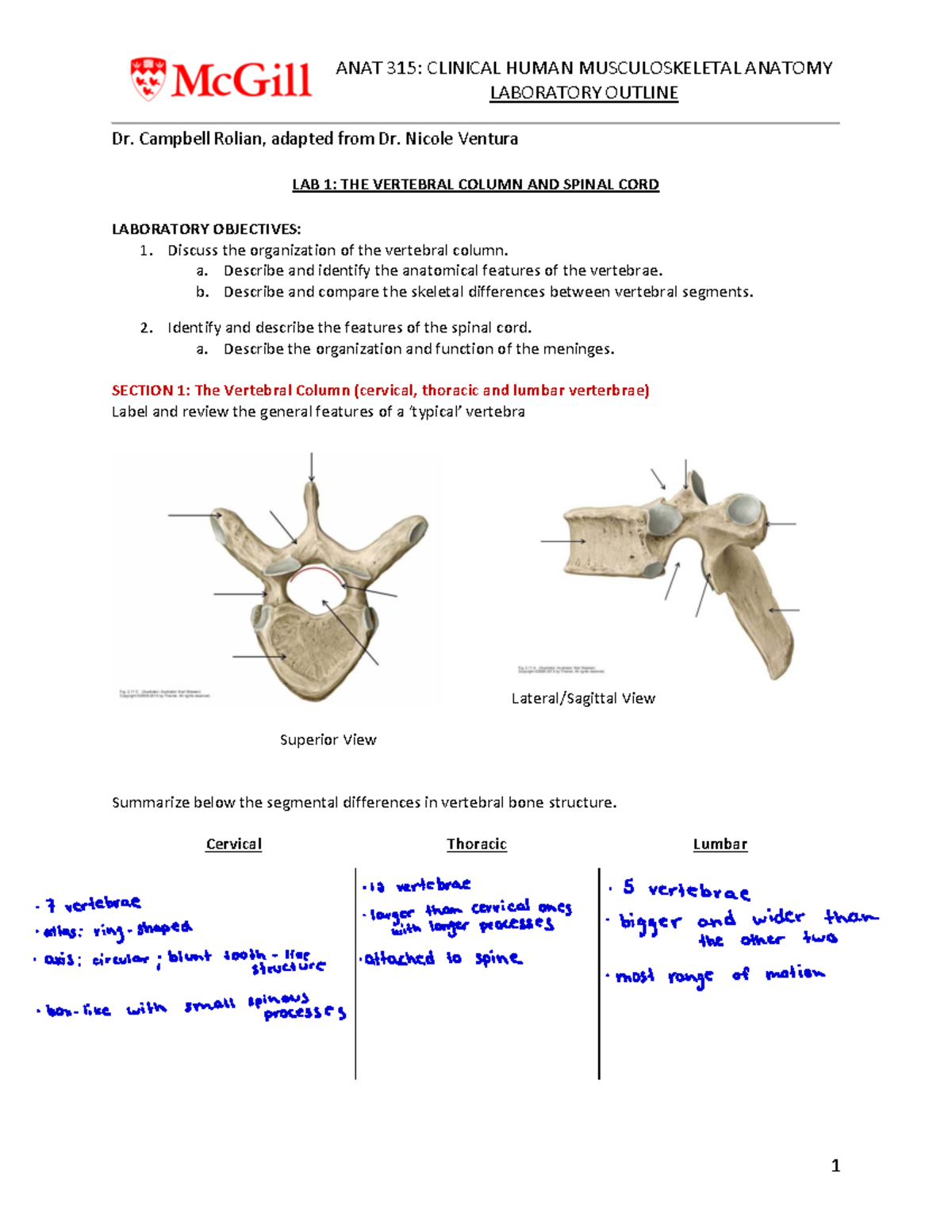Lab 2 - Vertebral Column and Spinal Cord - ANAT 315: CLINICAL HUMAN ...