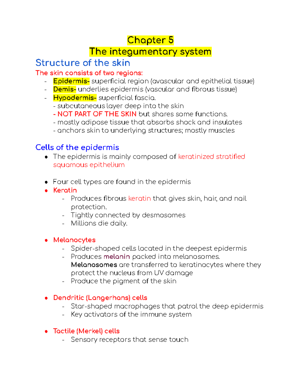 CH 5 Integumentary System - Chapter 5 The integumentary system ...