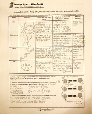 Biologie - Biologie Hoofdstuk 5 : transportstelsel inleiding 1 liter ...