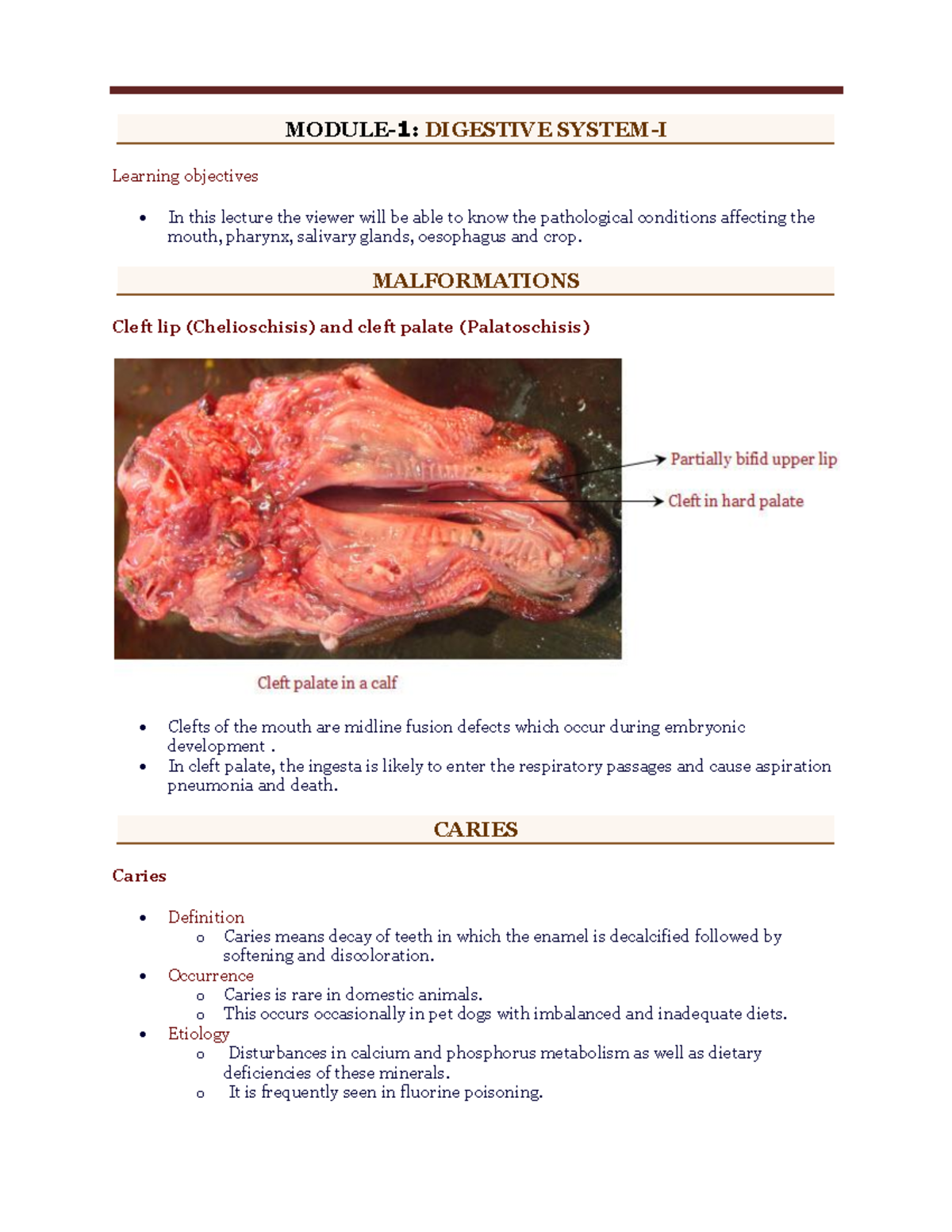 Pathology of Digestive System - MODULE- 1 : DIGESTIVE SYSTEM-I Learning ...
