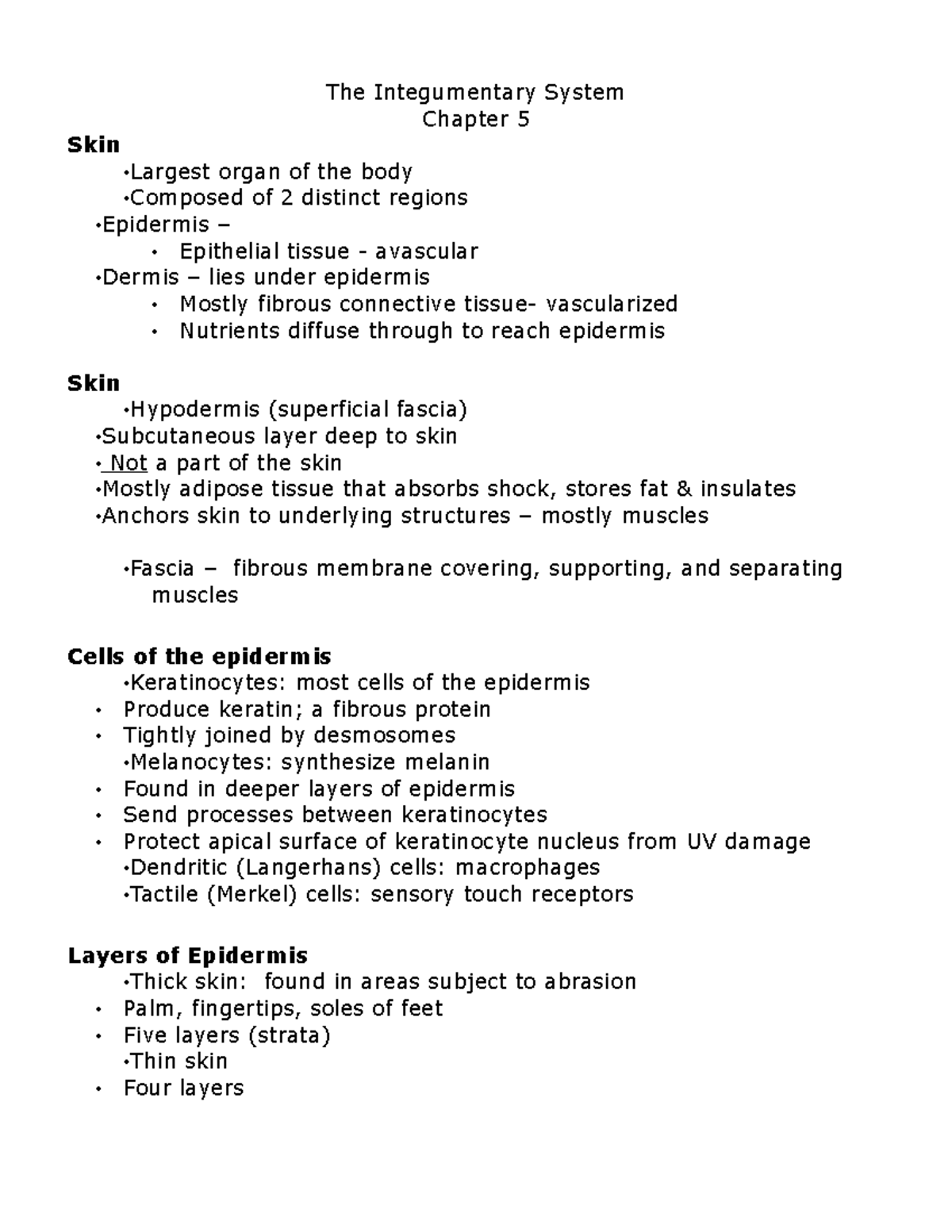 Chapter 5 The Integumentary System - The Integumentary System Chapter 5 ...