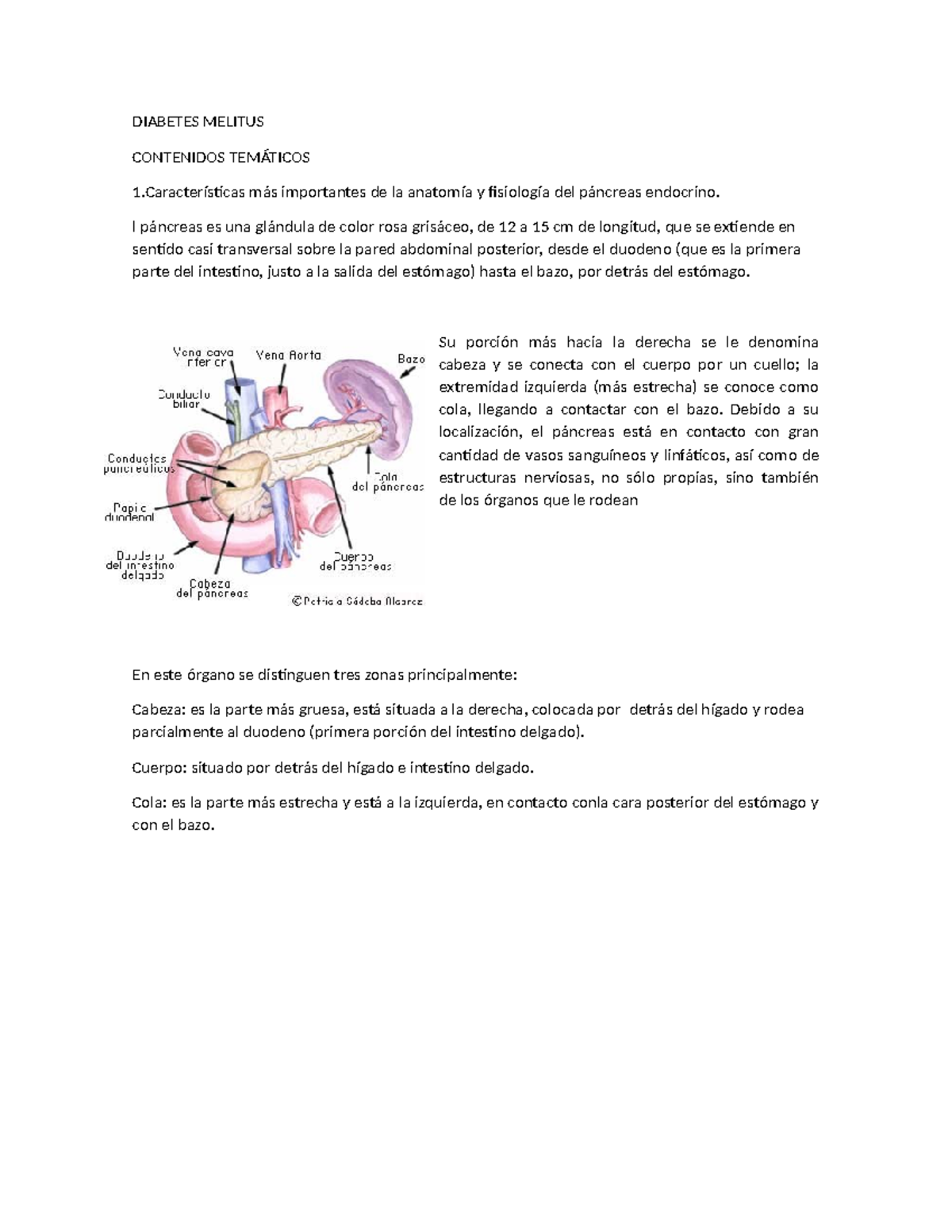 Diabetes Melitus - DIABETES MELITUS CONTENIDOS TEMÁTICOS 1ísticas más ...