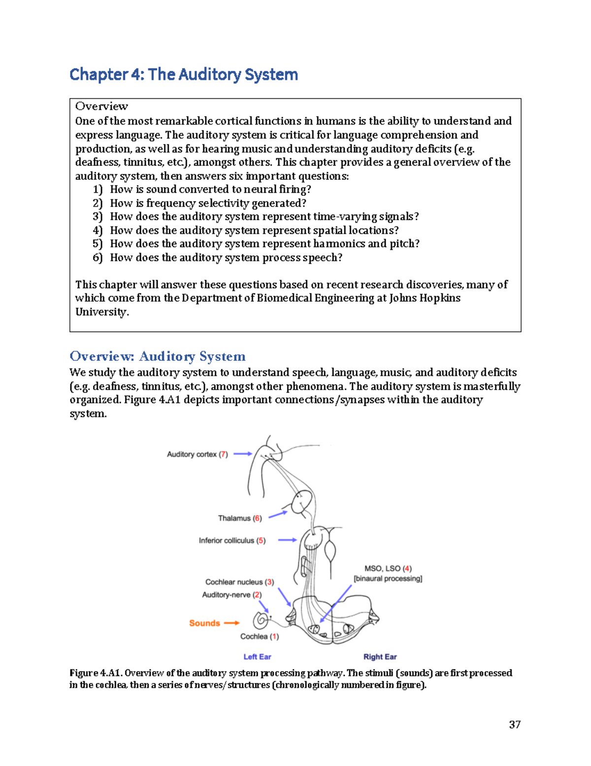 Chapter 4- The Auditory System - Chapter 4 : The Auditory System ...