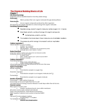 The Chemical Building Blocks of Life - The Chemical Building Blocks of ...