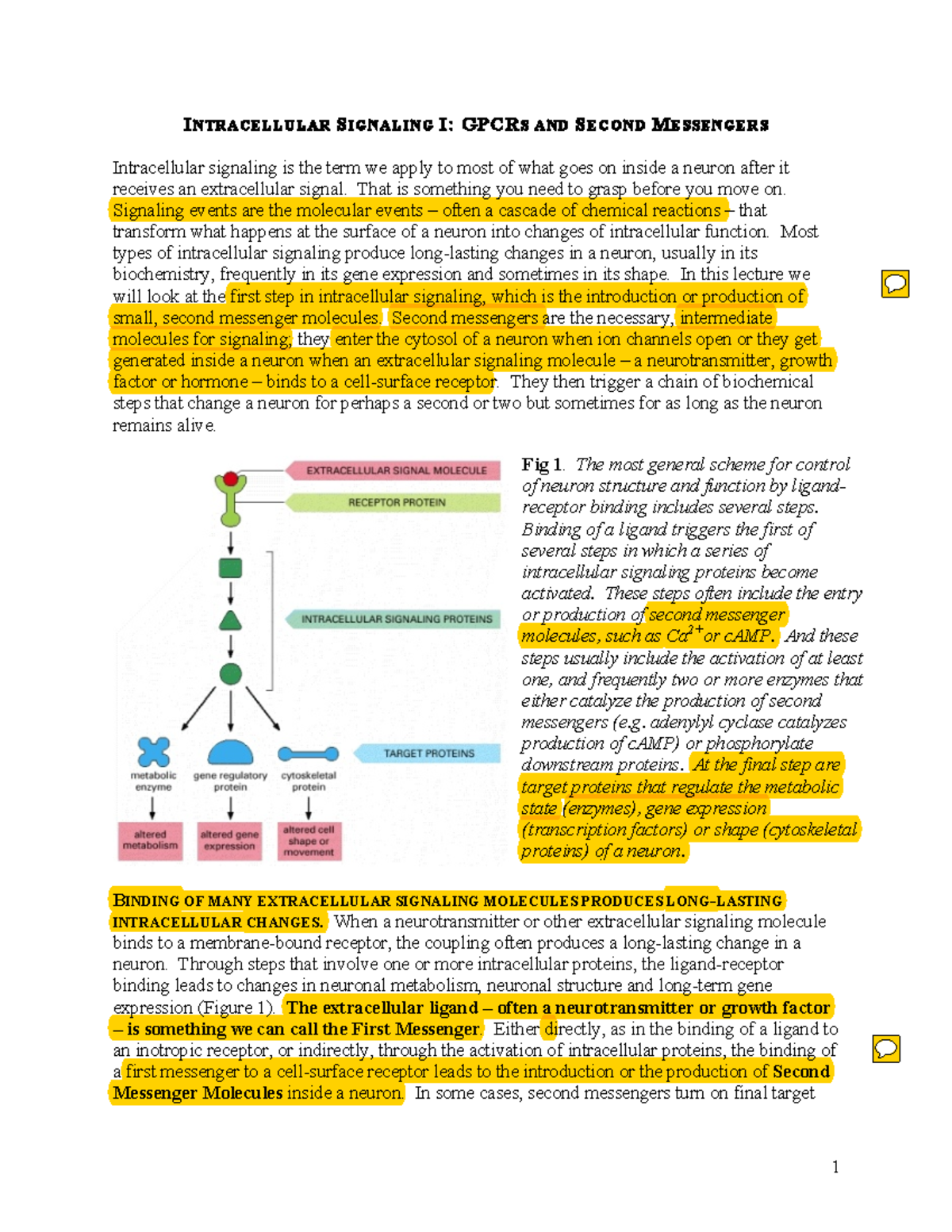 Lecture 01-Signaling 1 - Warning: Popup annotation has a missing or invalid parent annotation ...
