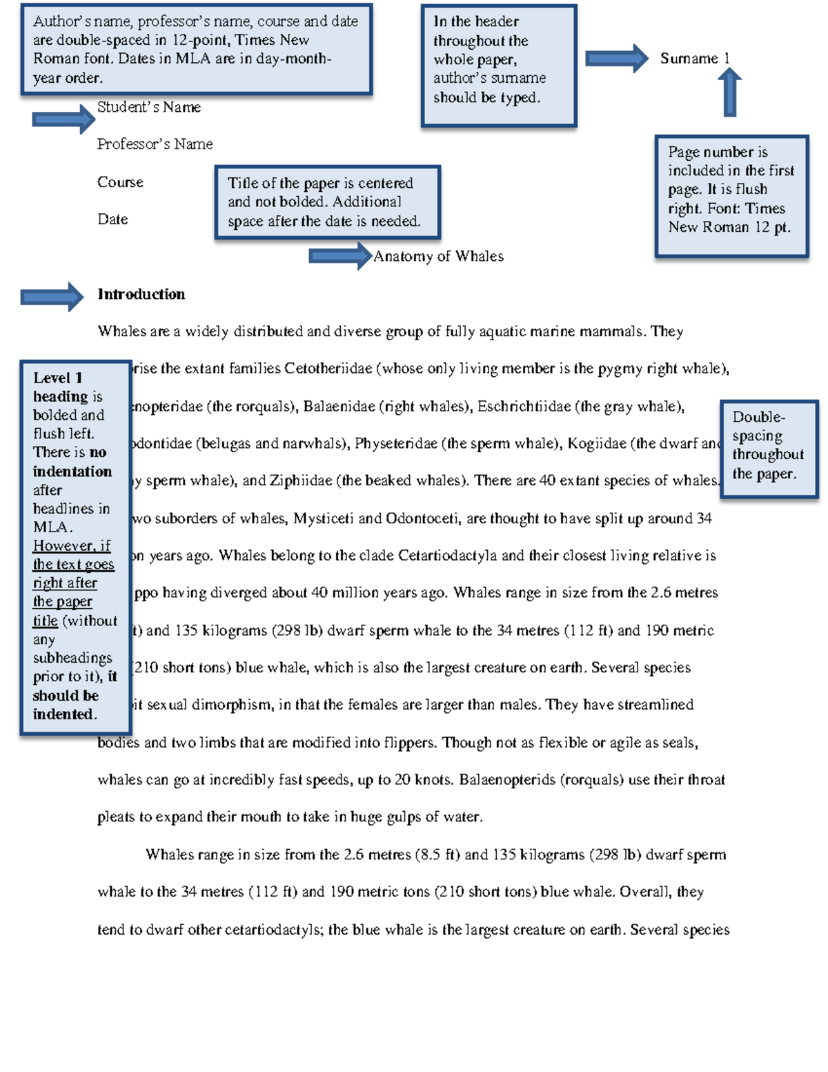 MLA 8th ed. - Copy - format to help students understand the published ...