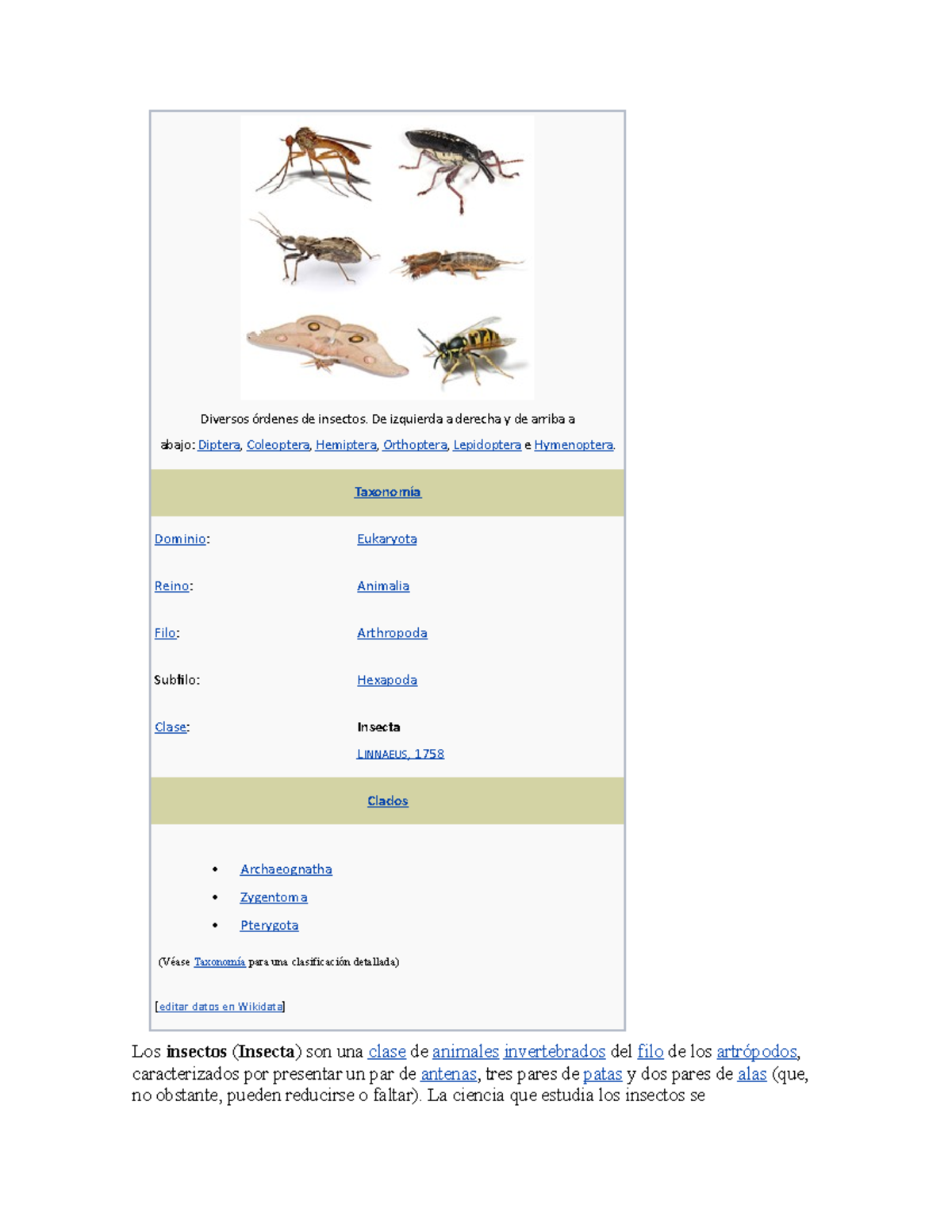 Arañas - dfgytryht - Diversos órdenes de insectos. De izquierda a ...