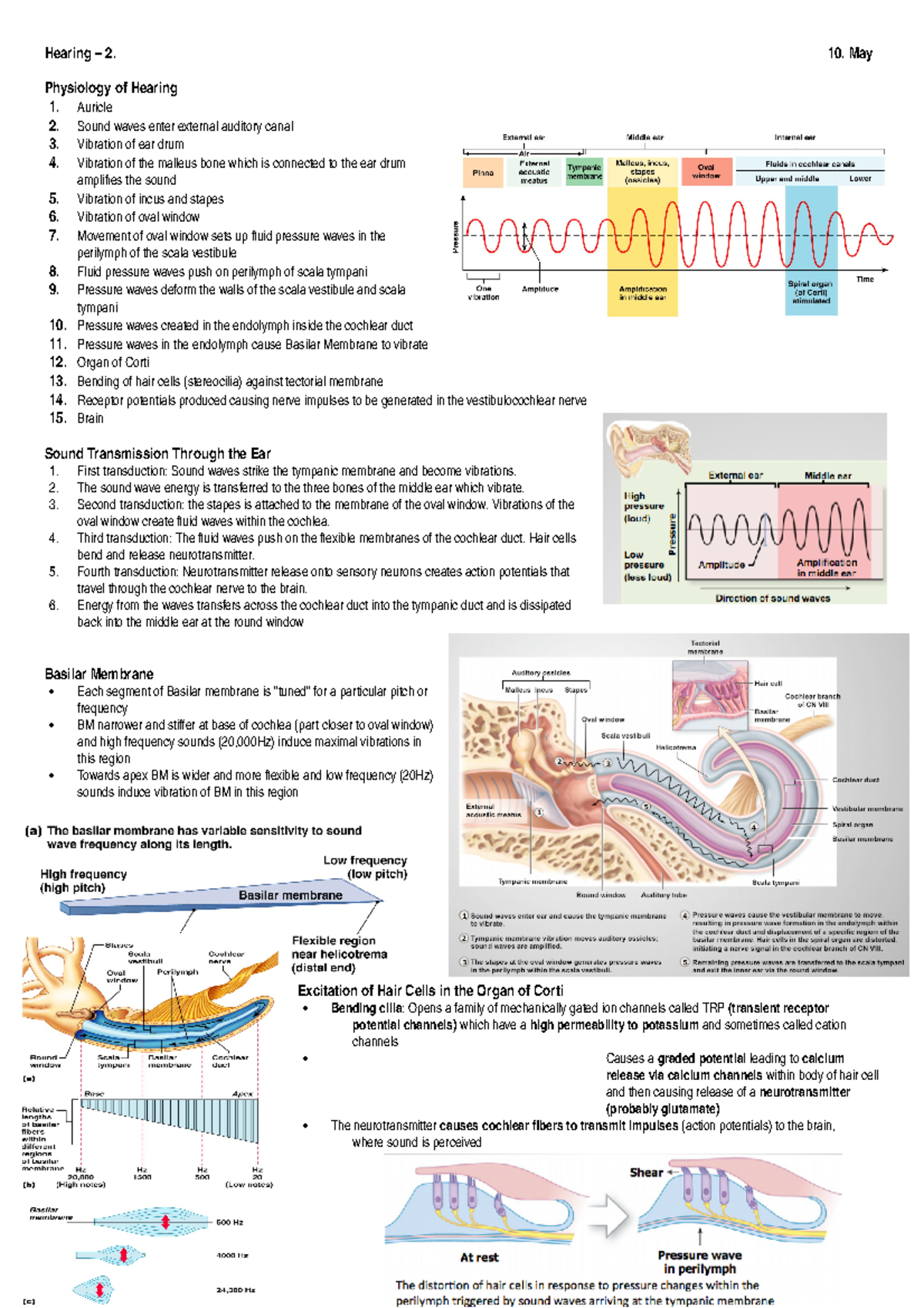 Hearing – 2 - Hearing – 2. 10. May Physiology of Hearing 1. Auricle 2 ...