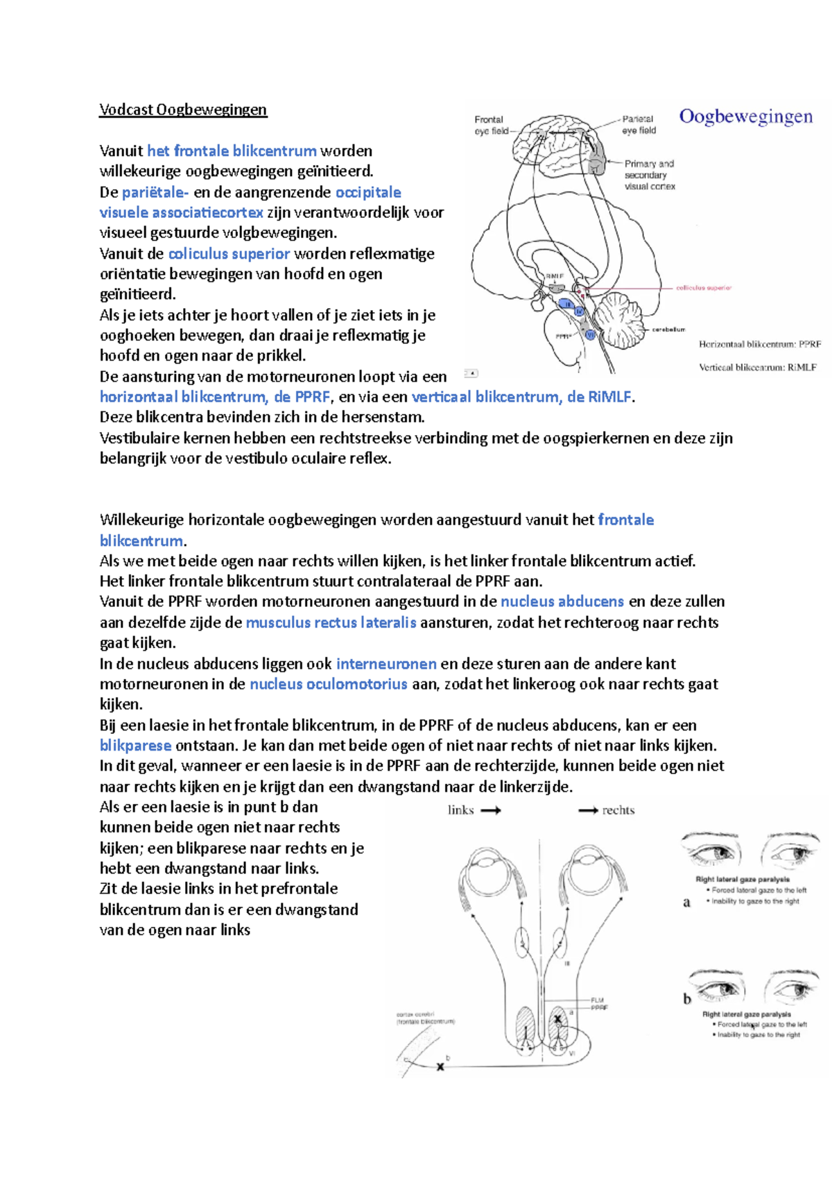 Vodcast Oogbewegingen - Vodcast Oogbewegingen Vanuit het frontale ...