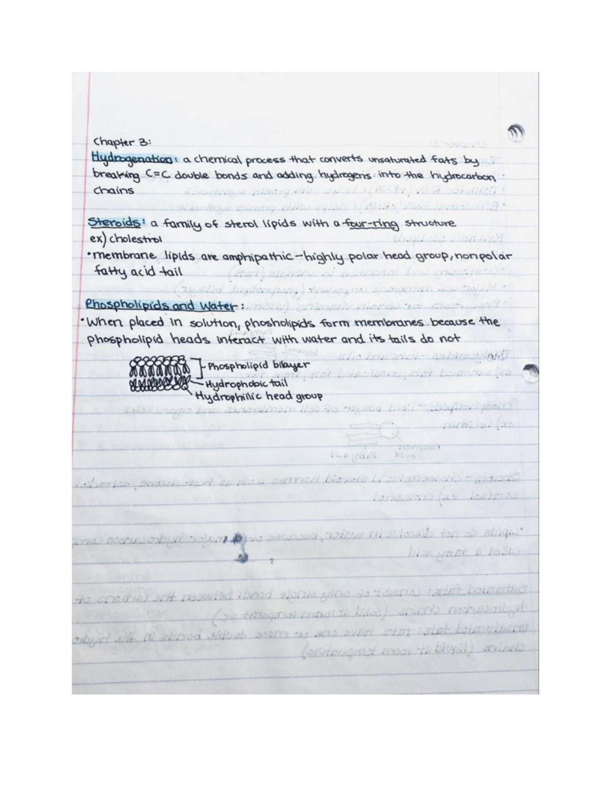 Bio notes 4 - Chapter 4 Cell structure and function - Chapher 2 ...
