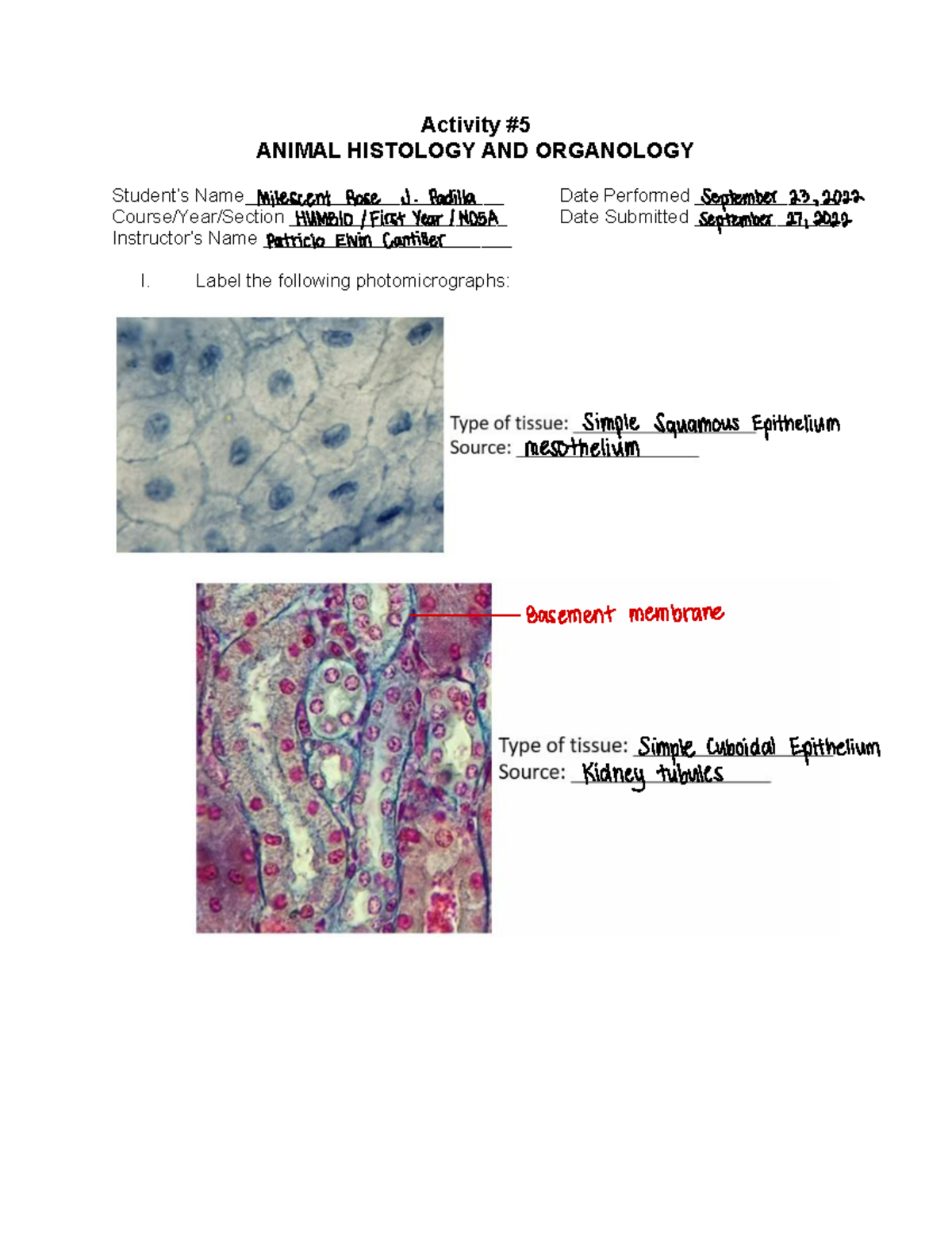 Lbygezo N05A Padilla, Milescent ROSE ACT 5 - Activity # ANIMAL ...