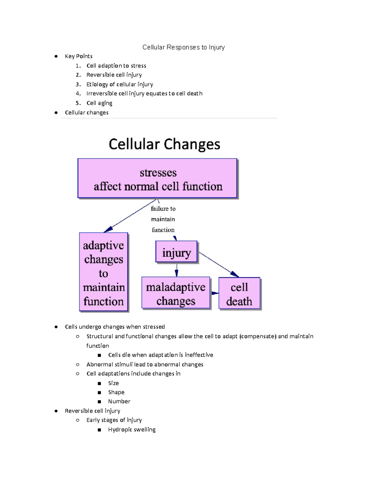02. Cellular Responses to Injury - Cellular Responses to Injury Key ...