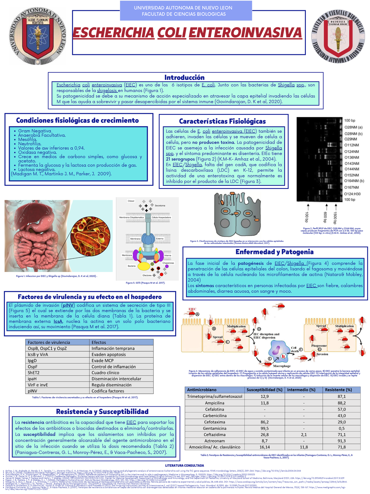 E. Coli EIEC - Apuntes - ESCHERICHIA COLI ENTEROINVASIVA UNIVERSIDAD ...