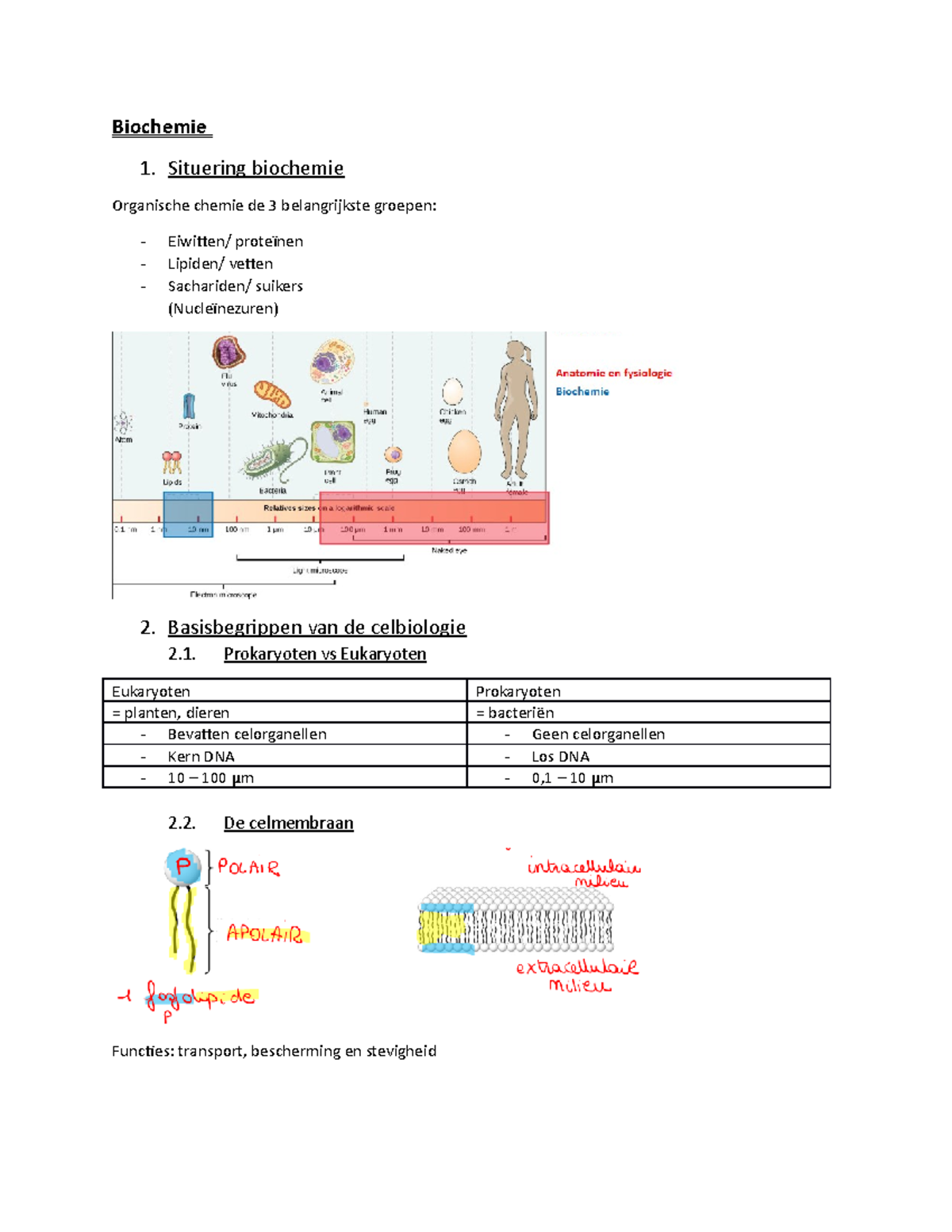 Biochemie - Biochemie 1. Situering biochemie Organische chemie de 3 ...