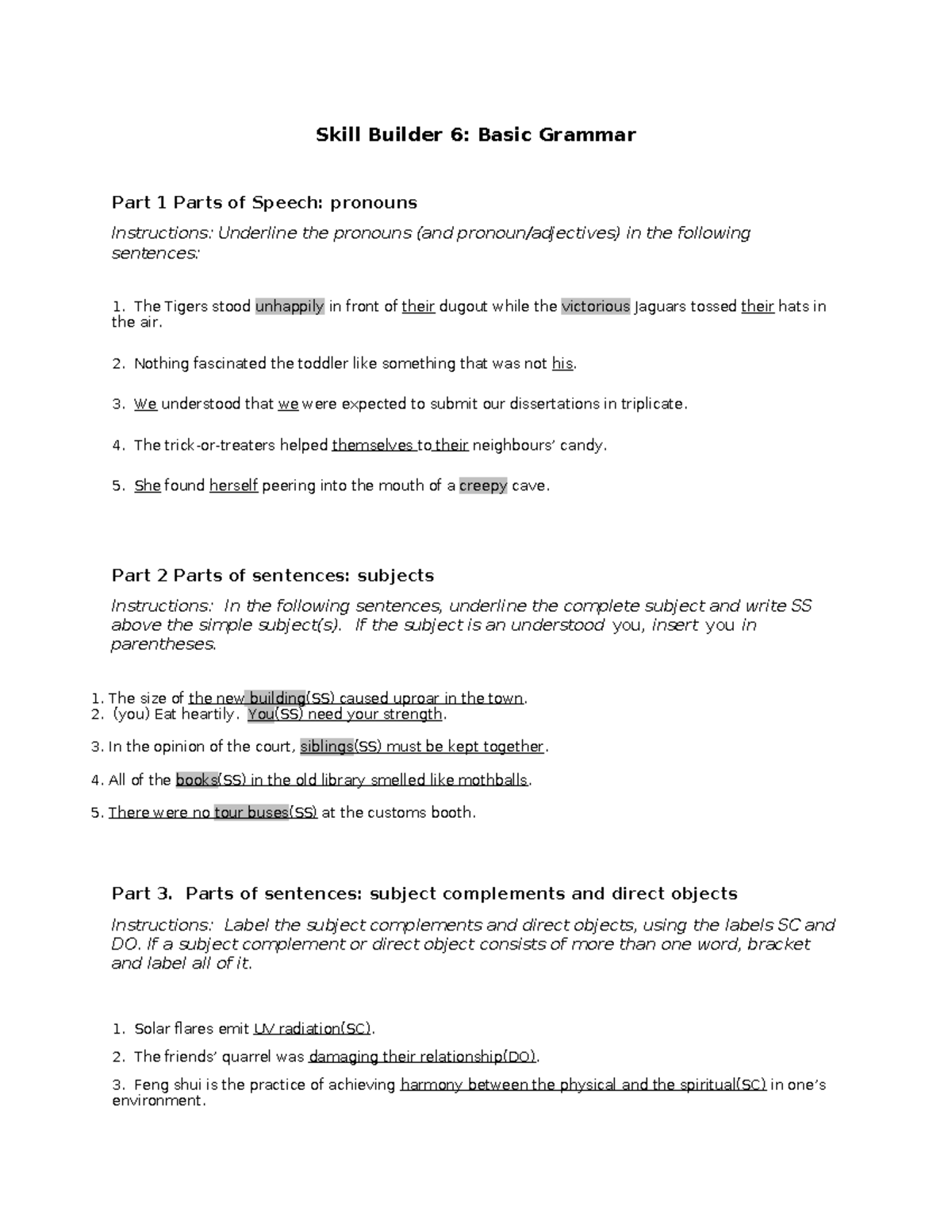 Skill builder 6 - Skill Builder 6: Basic Grammar Part 1 Parts of Speech ...