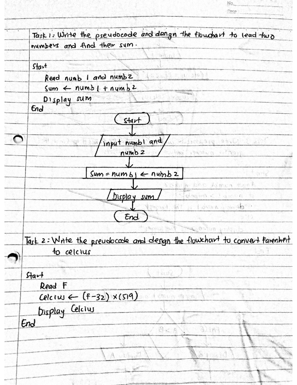 Tutorial Work CSC425 - Introduction To Computer Programming - Studocu