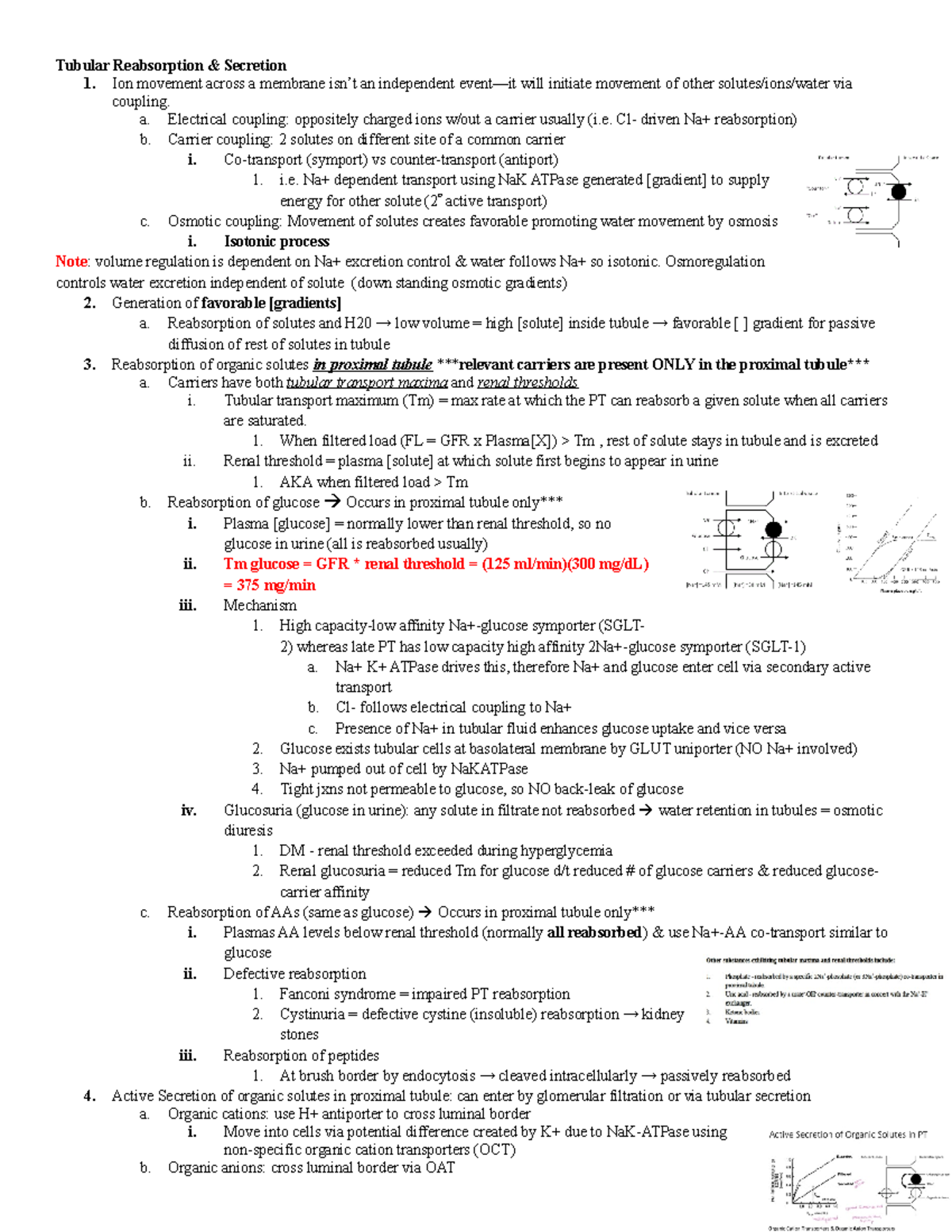 L4 Tubular Reabsorption and Secretion - Tubular Reabsorption ...