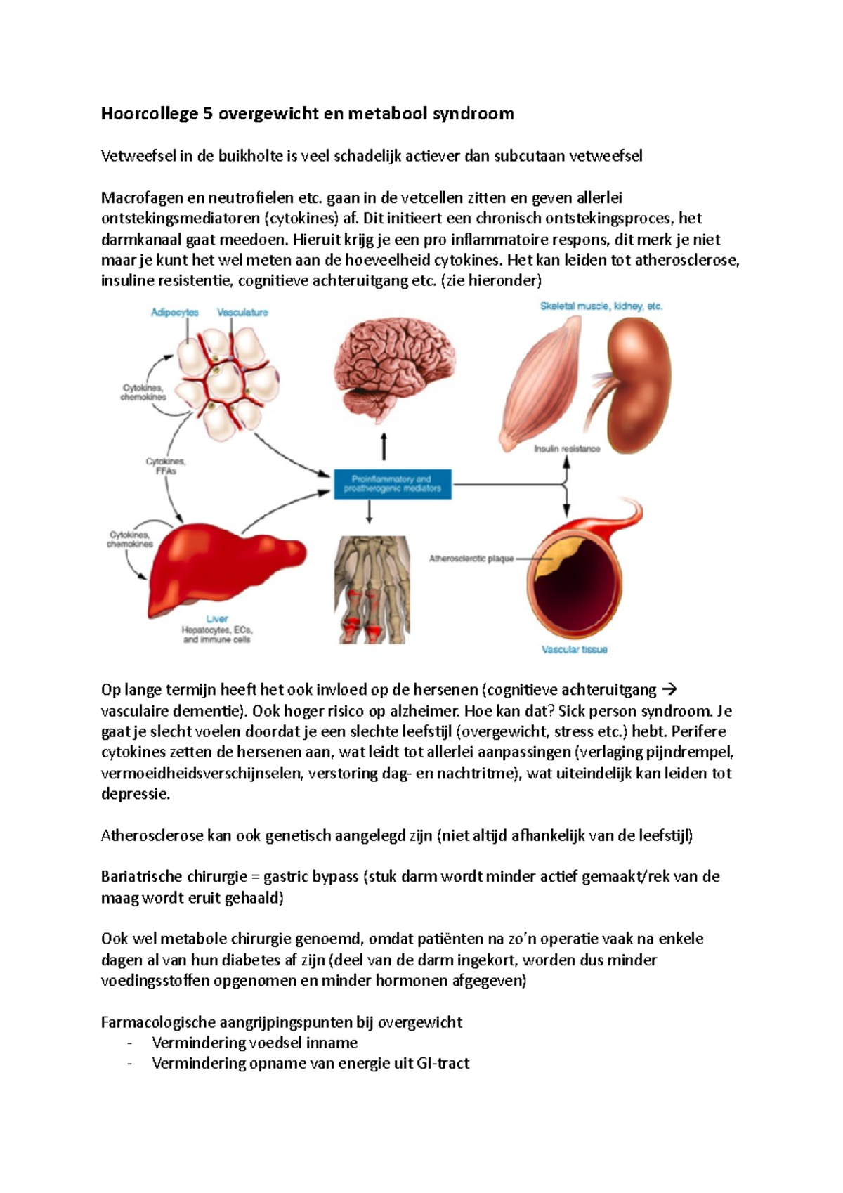 HC5 overgewicht en metabool syndroom - Hoorcollege 5 overgewicht en ...