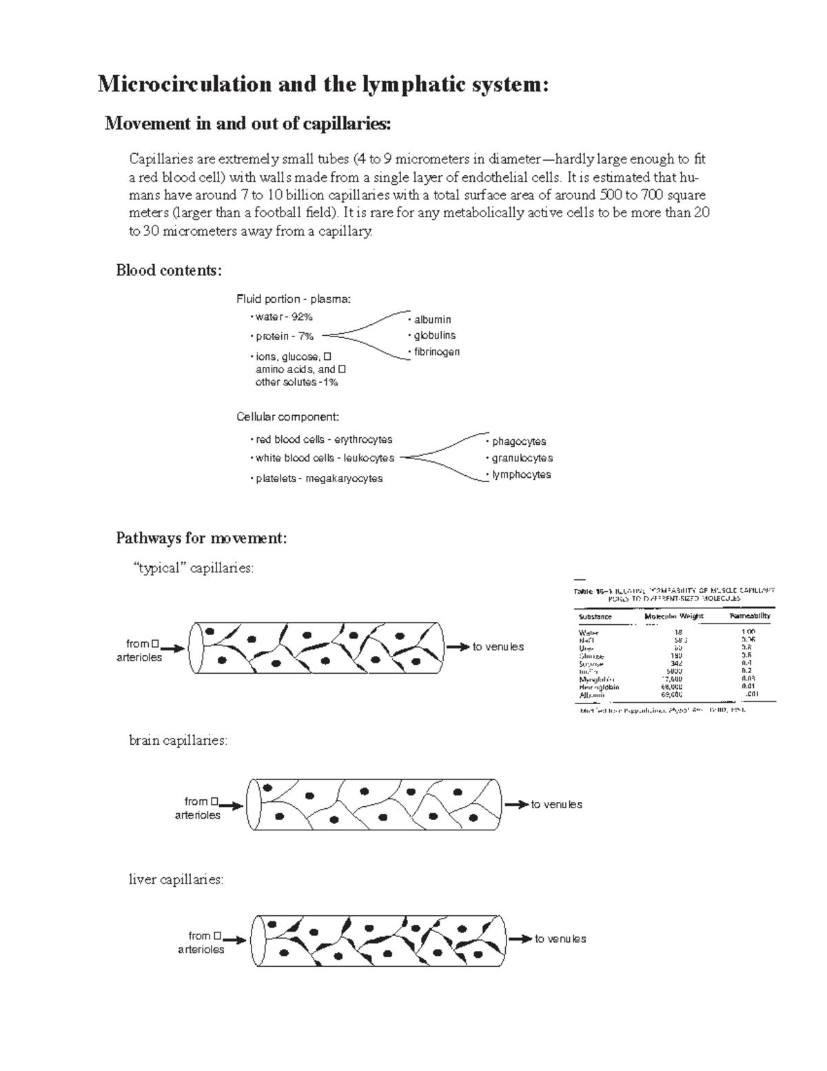 22 microcirculation Human Physiology Notes, Temme - Microcirculation ...