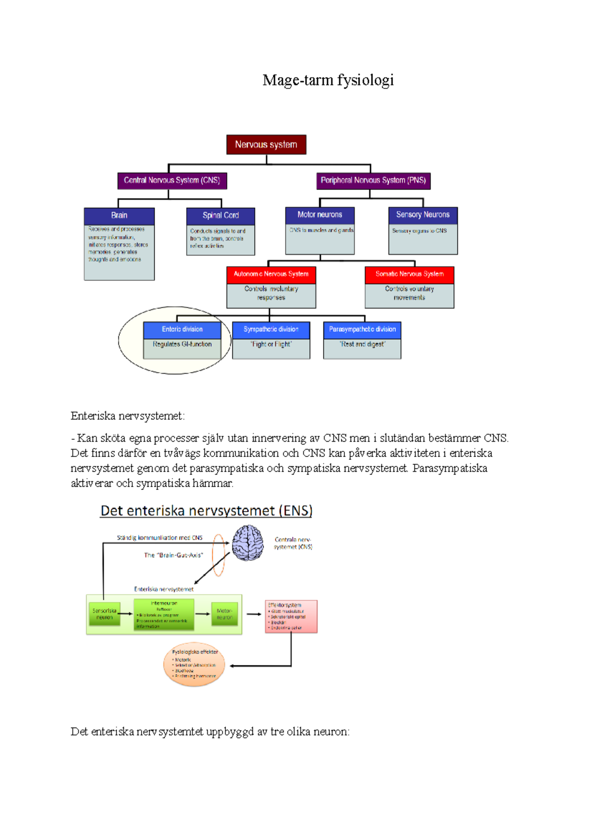 Mag-tarm fysiologi - Mage-tarm fysiologi Enteriska nervsystemet: Kan ...