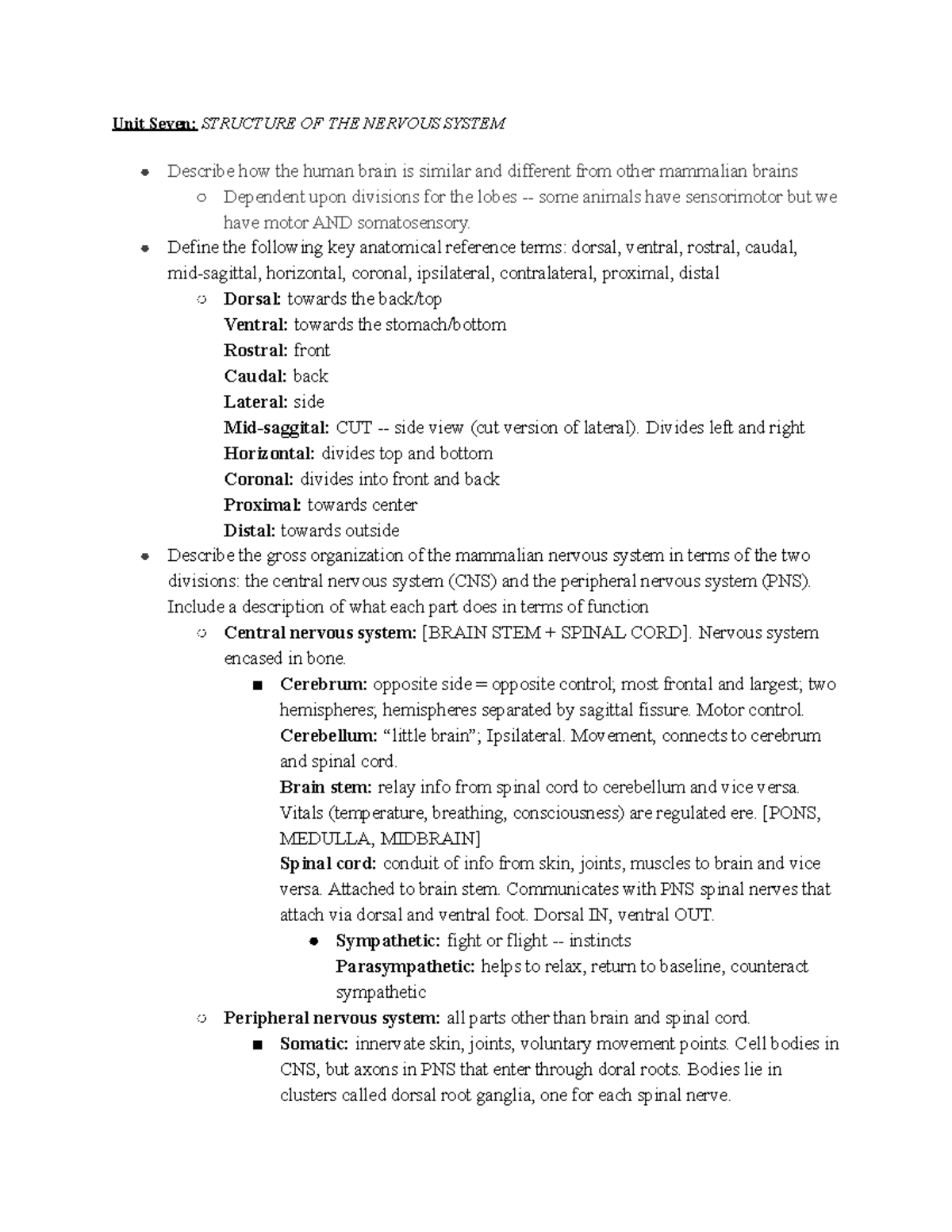 Unit Two Structure OF THE Nervous System - Unit Seven: STRUCTURE OF THE ...